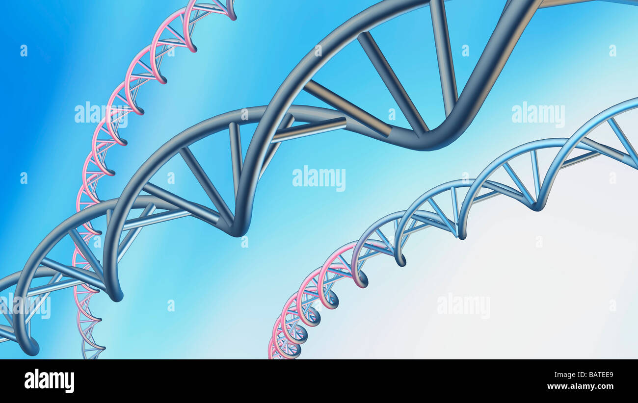 DNA molecules, conceptual computer artwork Stock Photo - Alamy