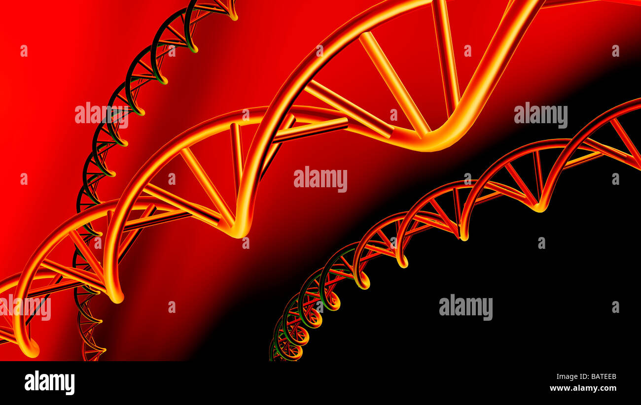 DNA molecules, conceptual computer artwork Stock Photo - Alamy