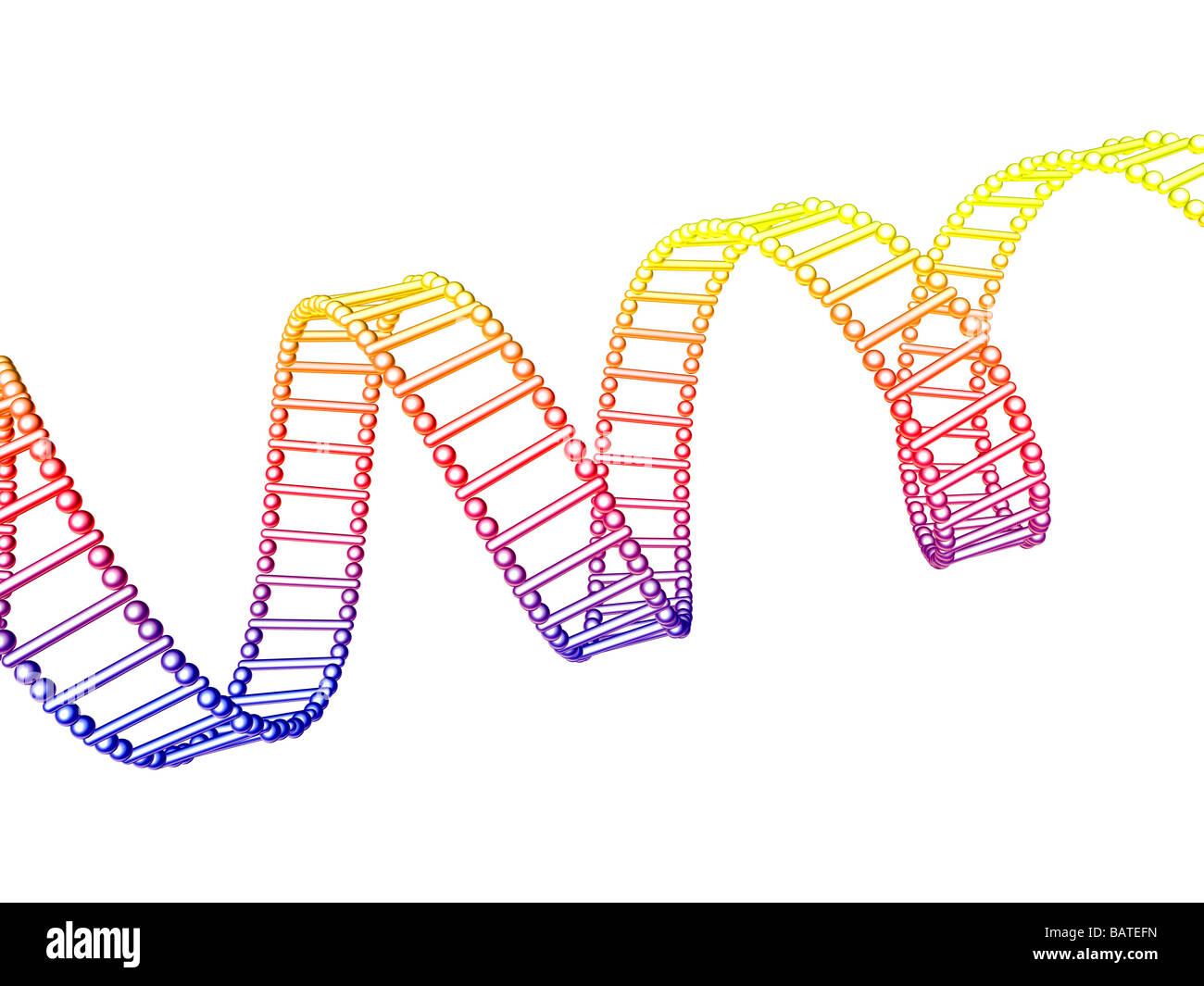 DNA molecule, conceptual computer artwork Stock Photo - Alamy