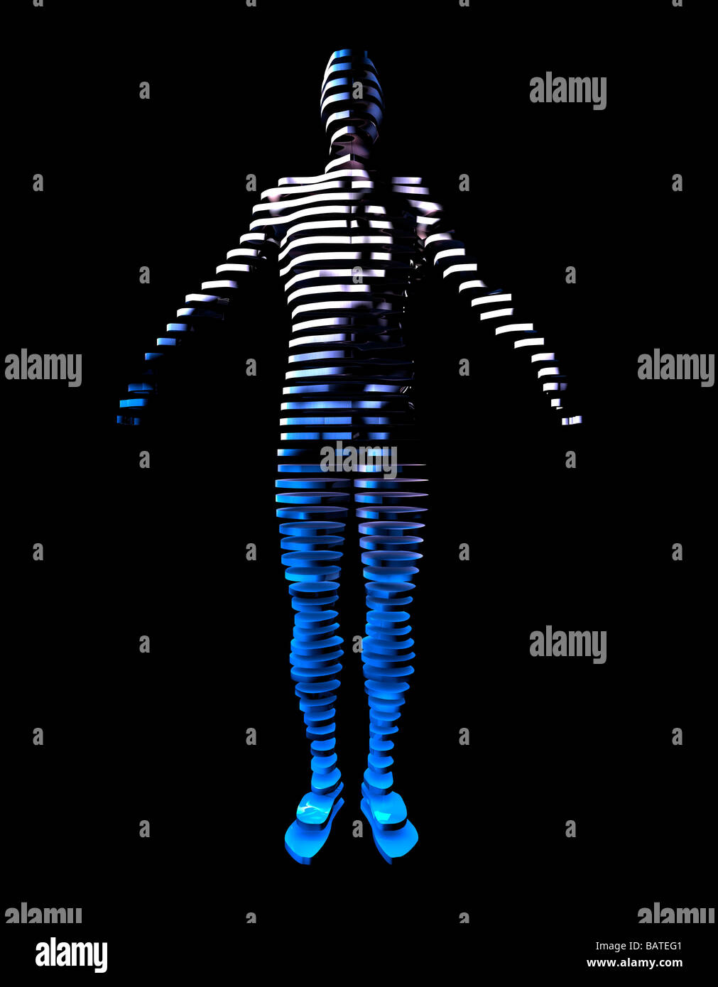 Body segments hi-res stock photography and images - Alamy