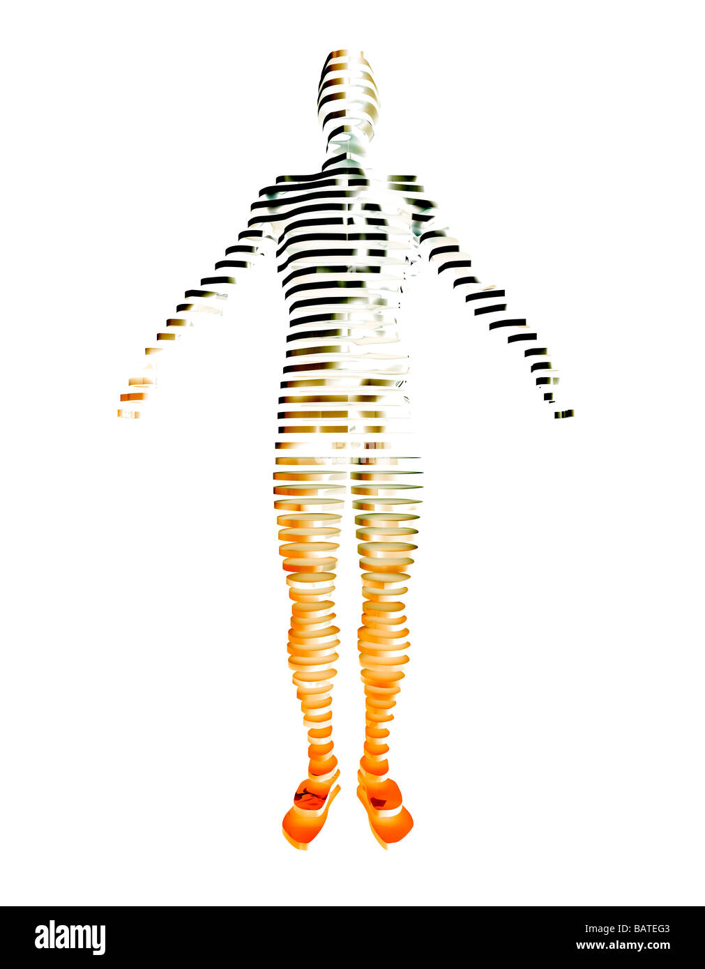 Male body, computer artwork Stock Photo - Alamy