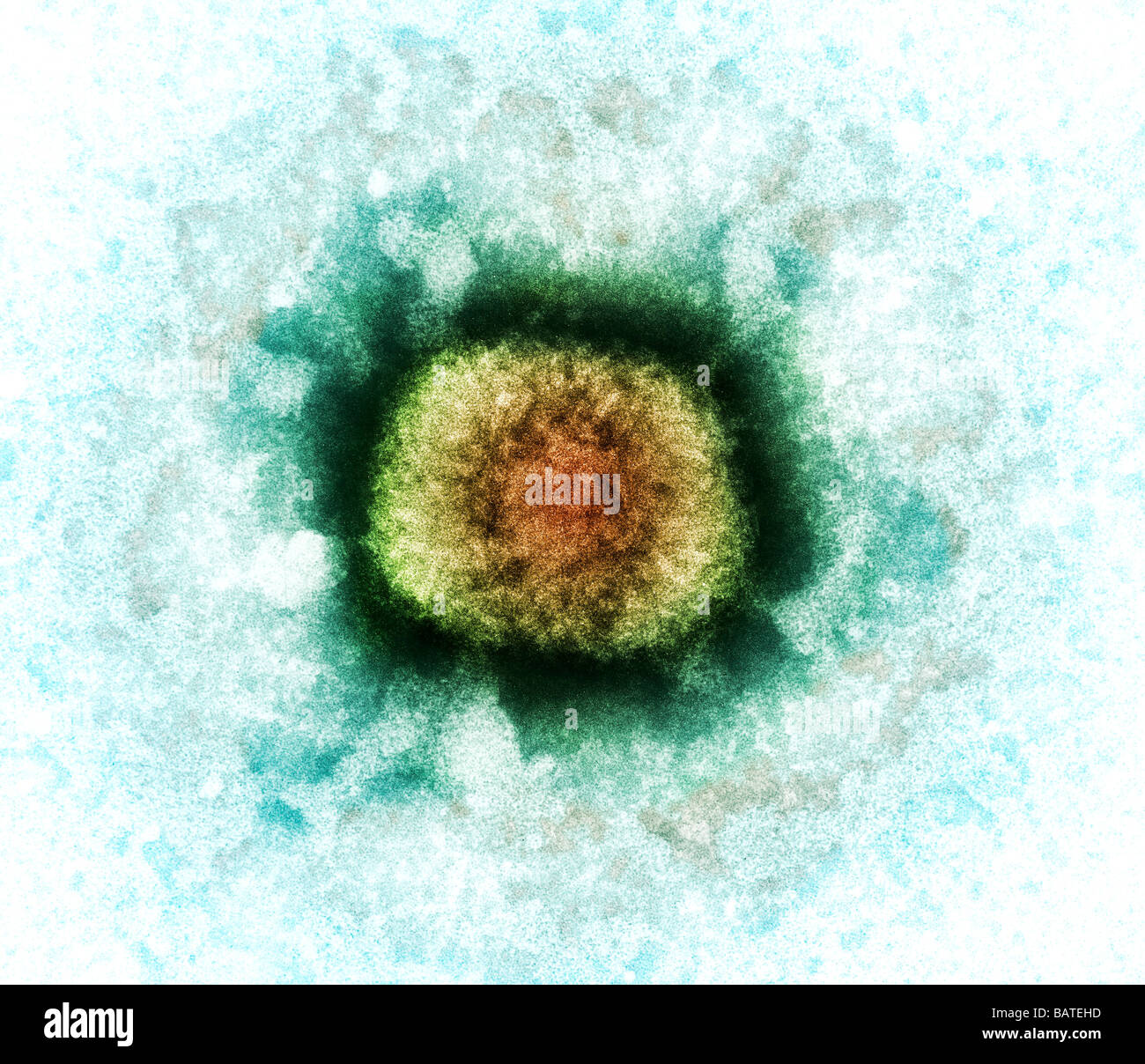 Transmission electron microscope color enhanced hi-res stock ...