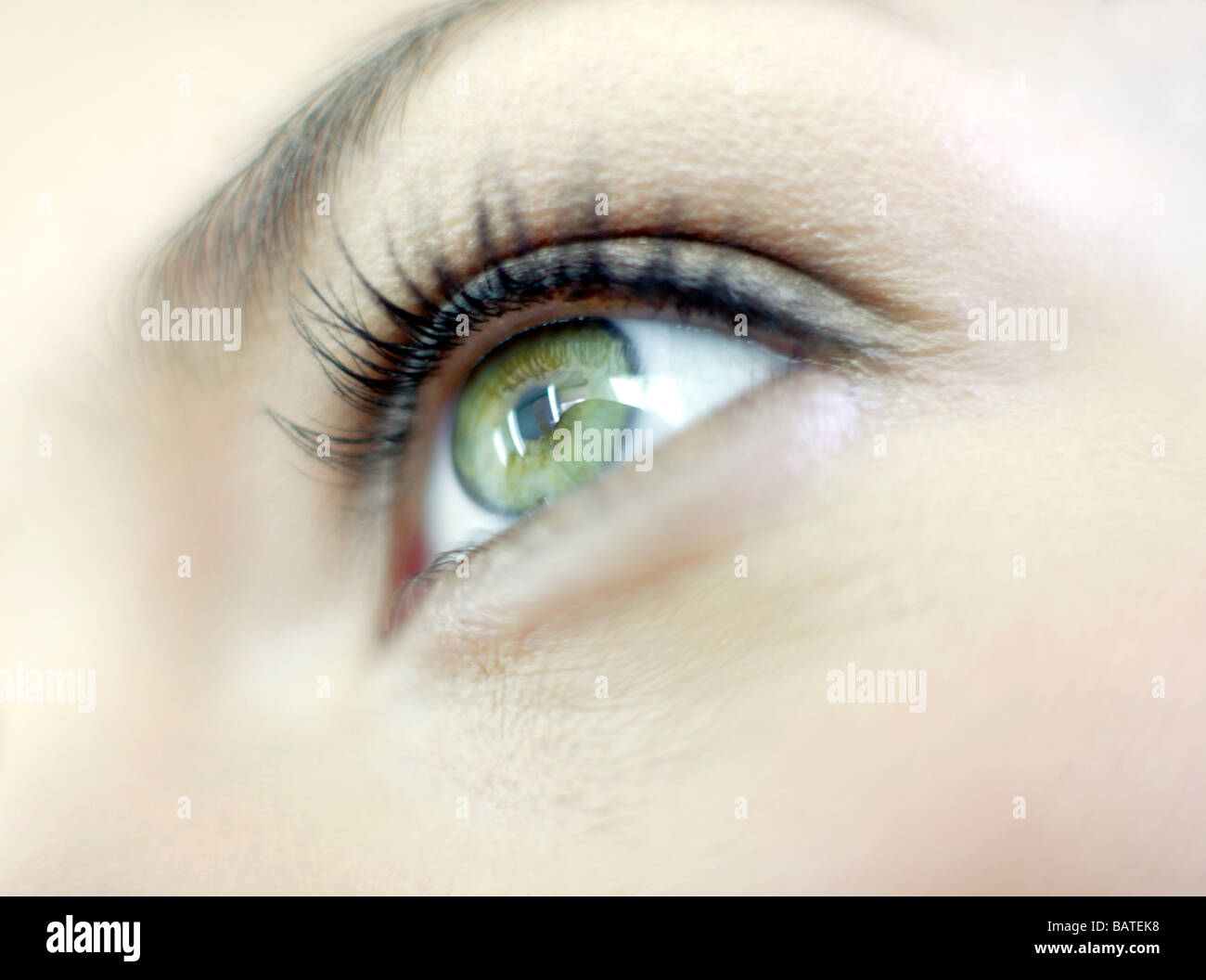 Human eye. Close-up of a woman's eye Stock Photo - Alamy