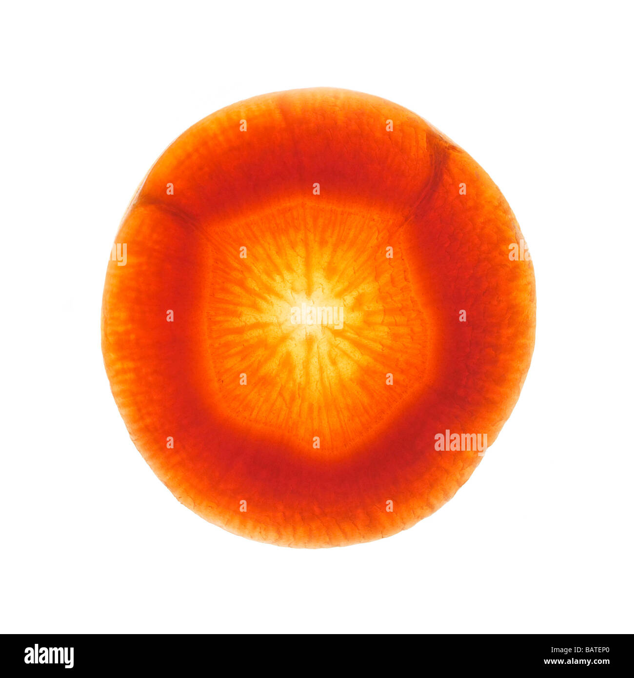 Slice carrot cross section backlit Cut Out Stock Images & Pictures - Alamy