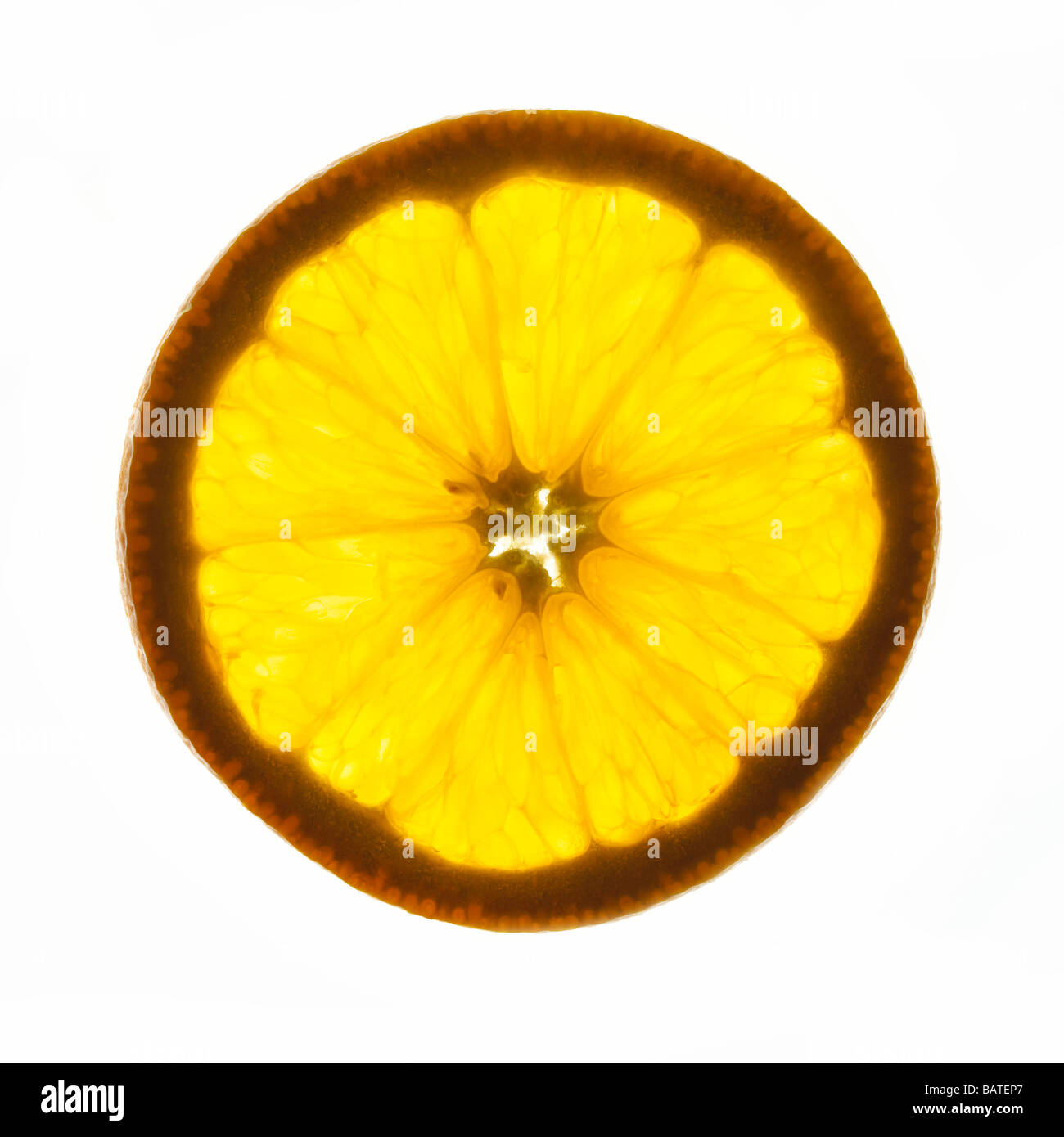 C sinensis Cut Out Stock Images & Pictures - Alamy