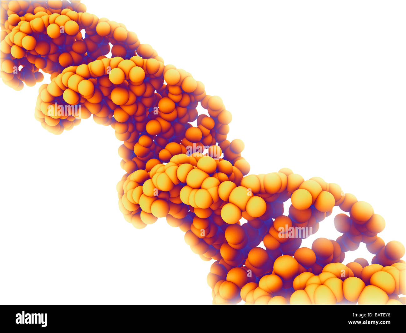 DNA (deoxyribonucleic acid) molecule, computer artwork Stock Photo - Alamy