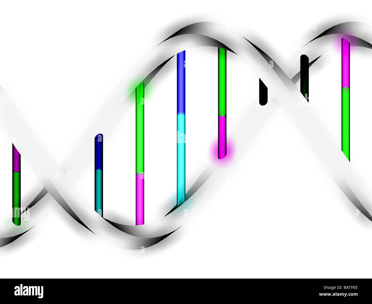 DNA (deoxyribonucleic acid) molecule, computer artwork Stock Photo - Alamy