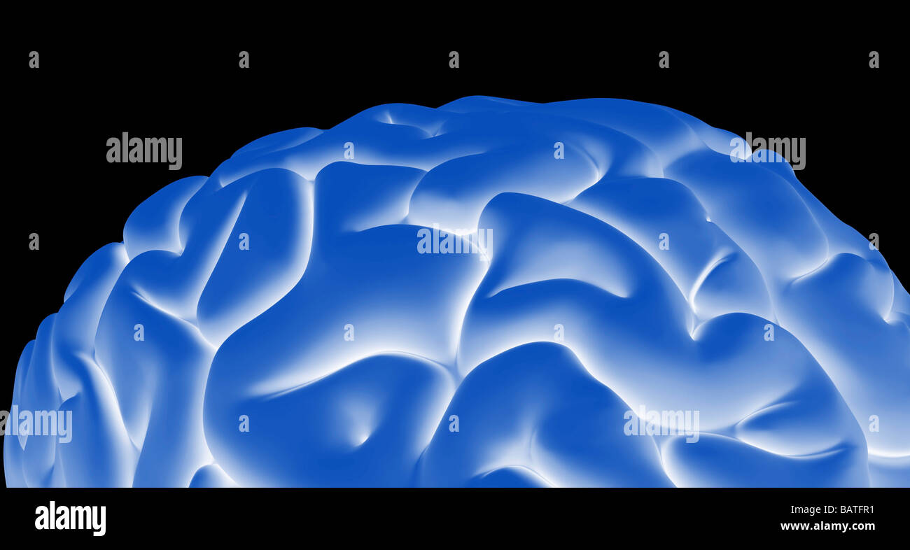 Human brain, computer artwork Stock Photo - Alamy