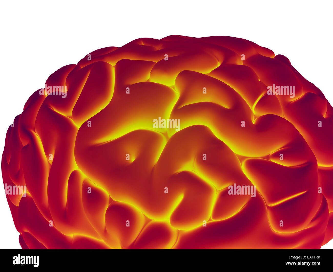 Human brain, computer artwork Stock Photo - Alamy
