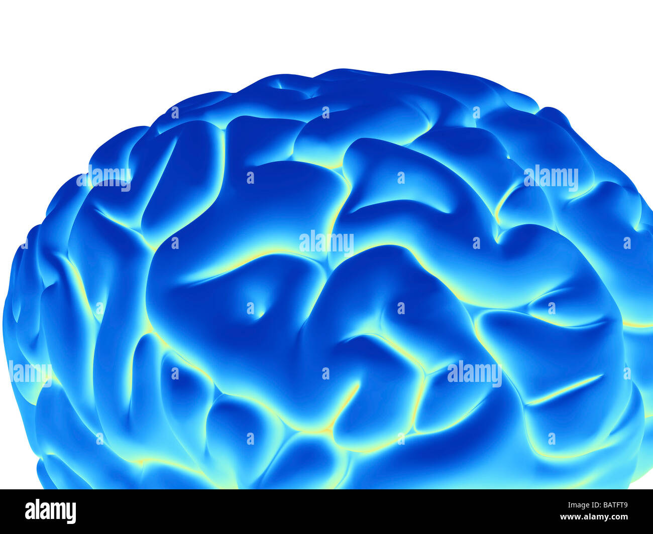 Human brain, computer artwork Stock Photo - Alamy