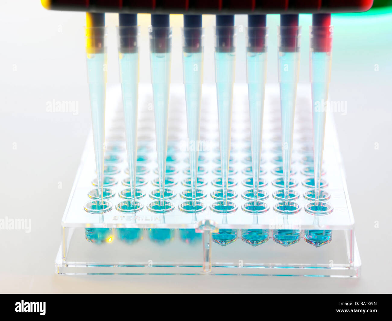 Pcr tray hi-res stock photography and images - Alamy