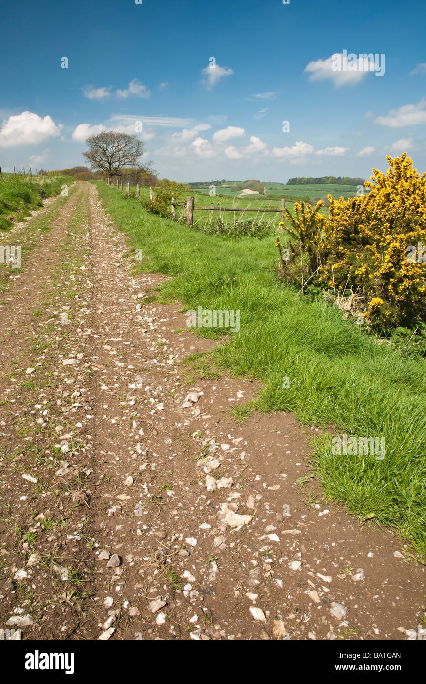 View from the Wayfarers Way path over West Berkshire from between the ...