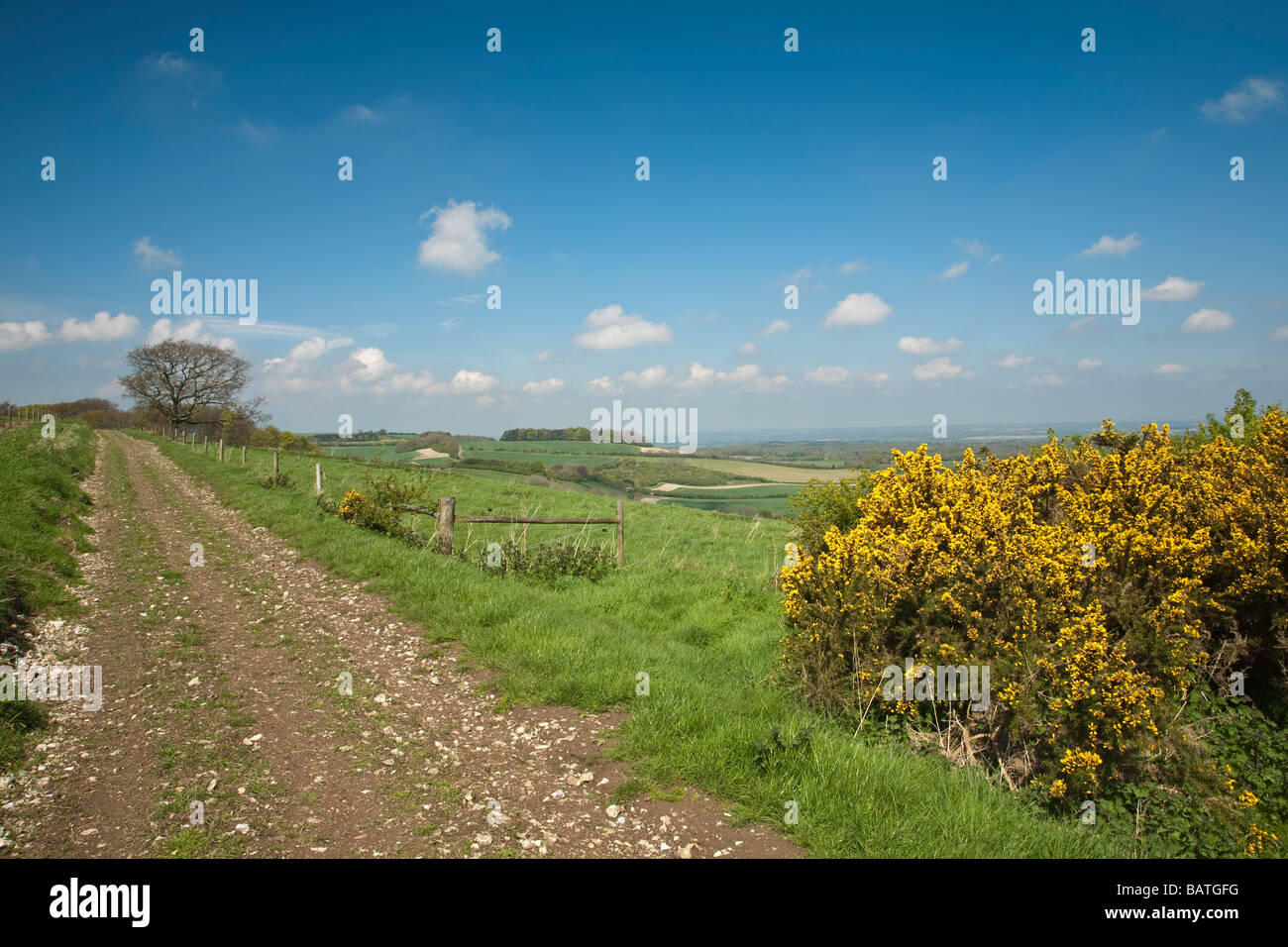 View from the Wayfarers Way path over West Berkshire from between the ...