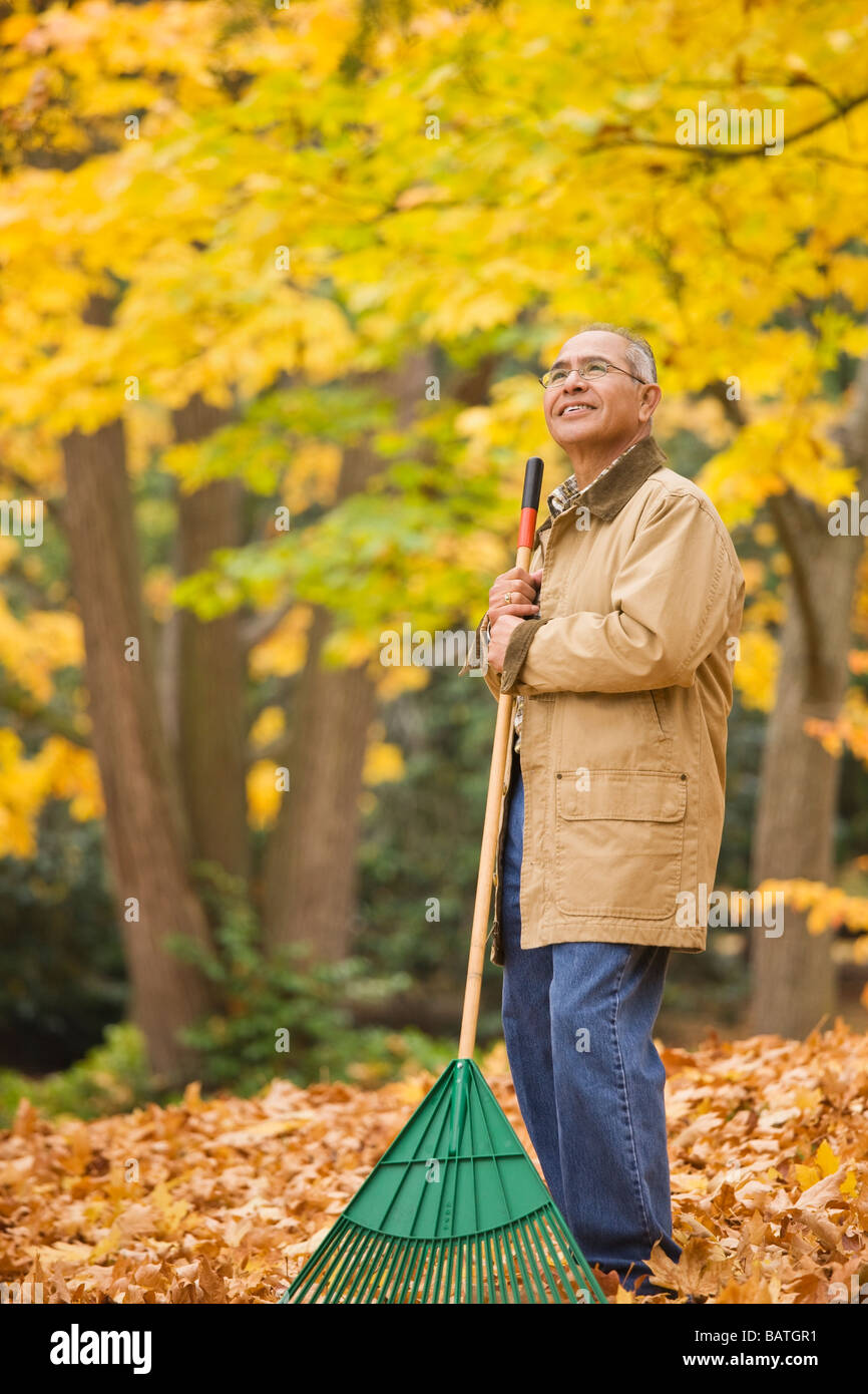 Hispanic man raking autumn leaves Stock Photo - Alamy