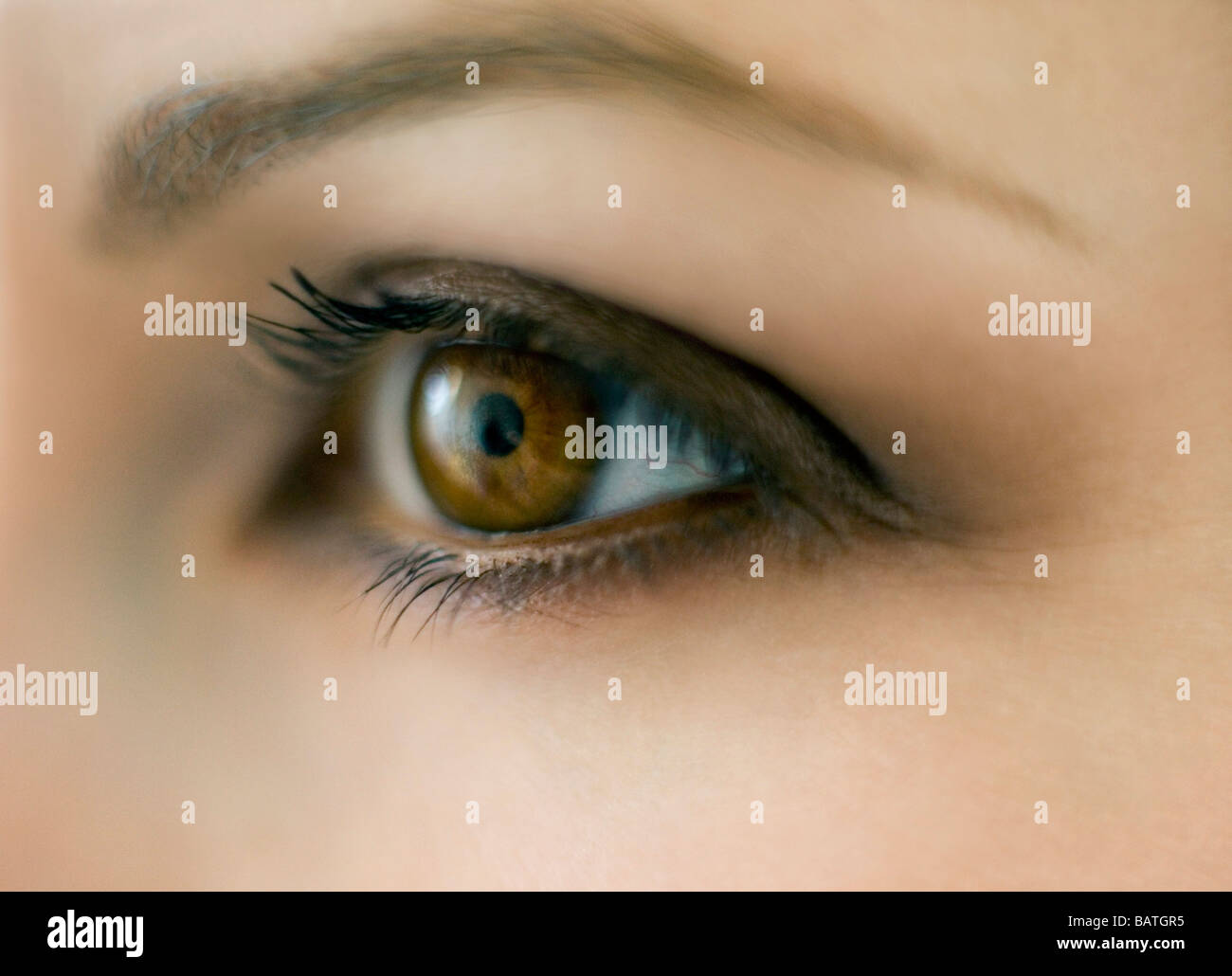 Eye anatomy optics hi-res stock photography and images - Alamy