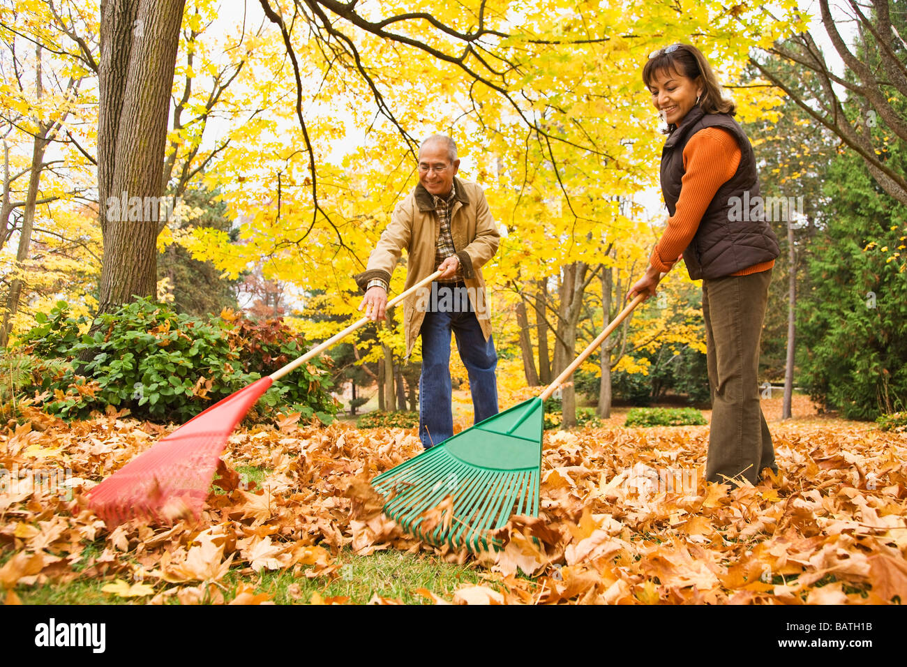 Man Outdoors Raking Leaves Smiling High Resolution Stock Photography ...