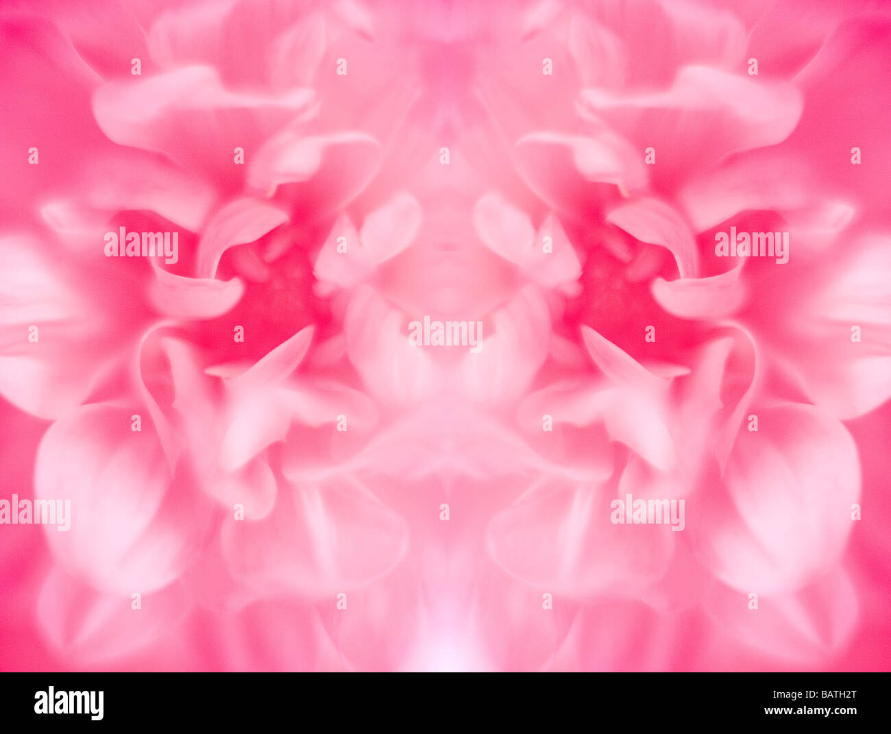 Flower petals, abstract image Stock Photo - Alamy