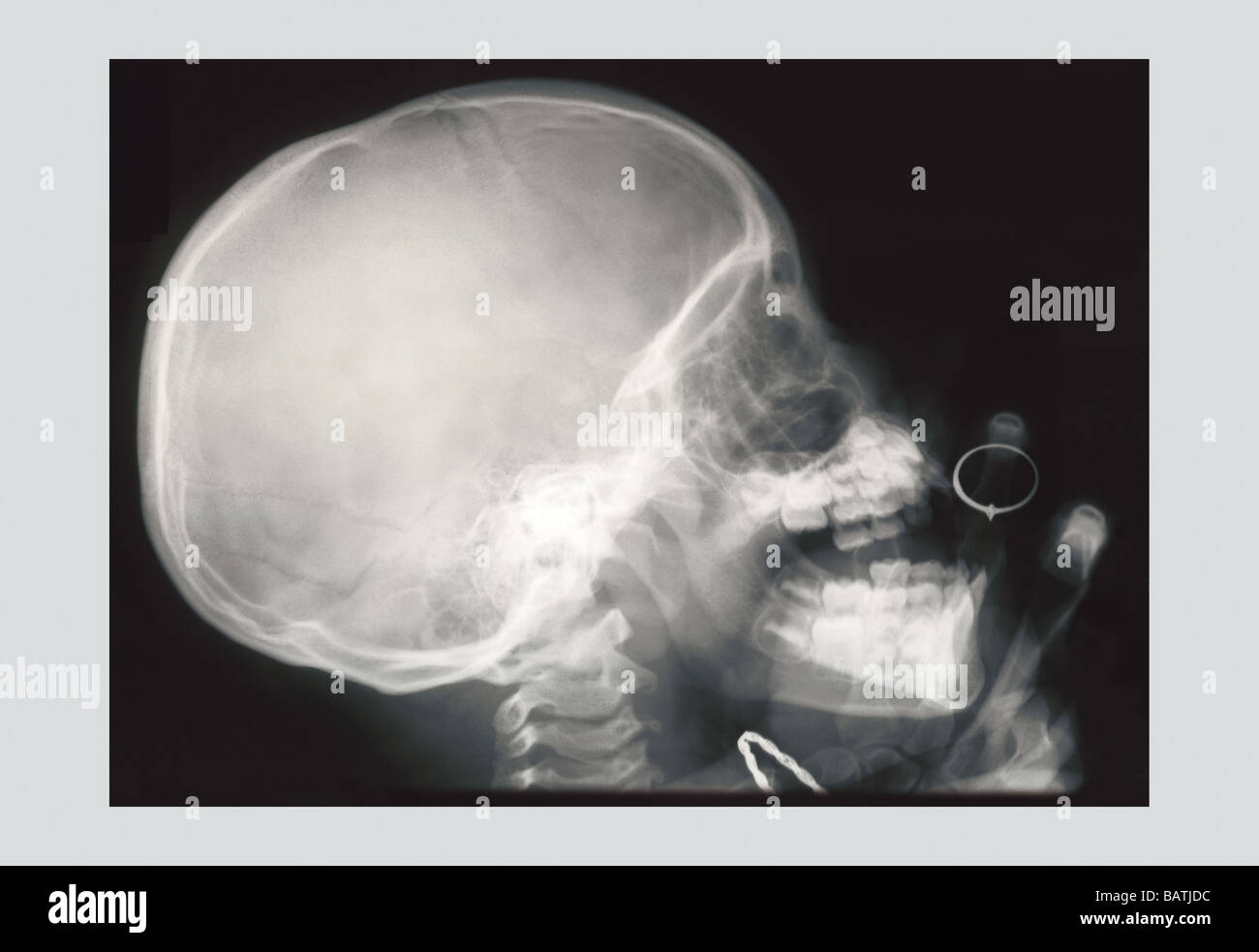 Skull and Hand Stock Photo - Alamy