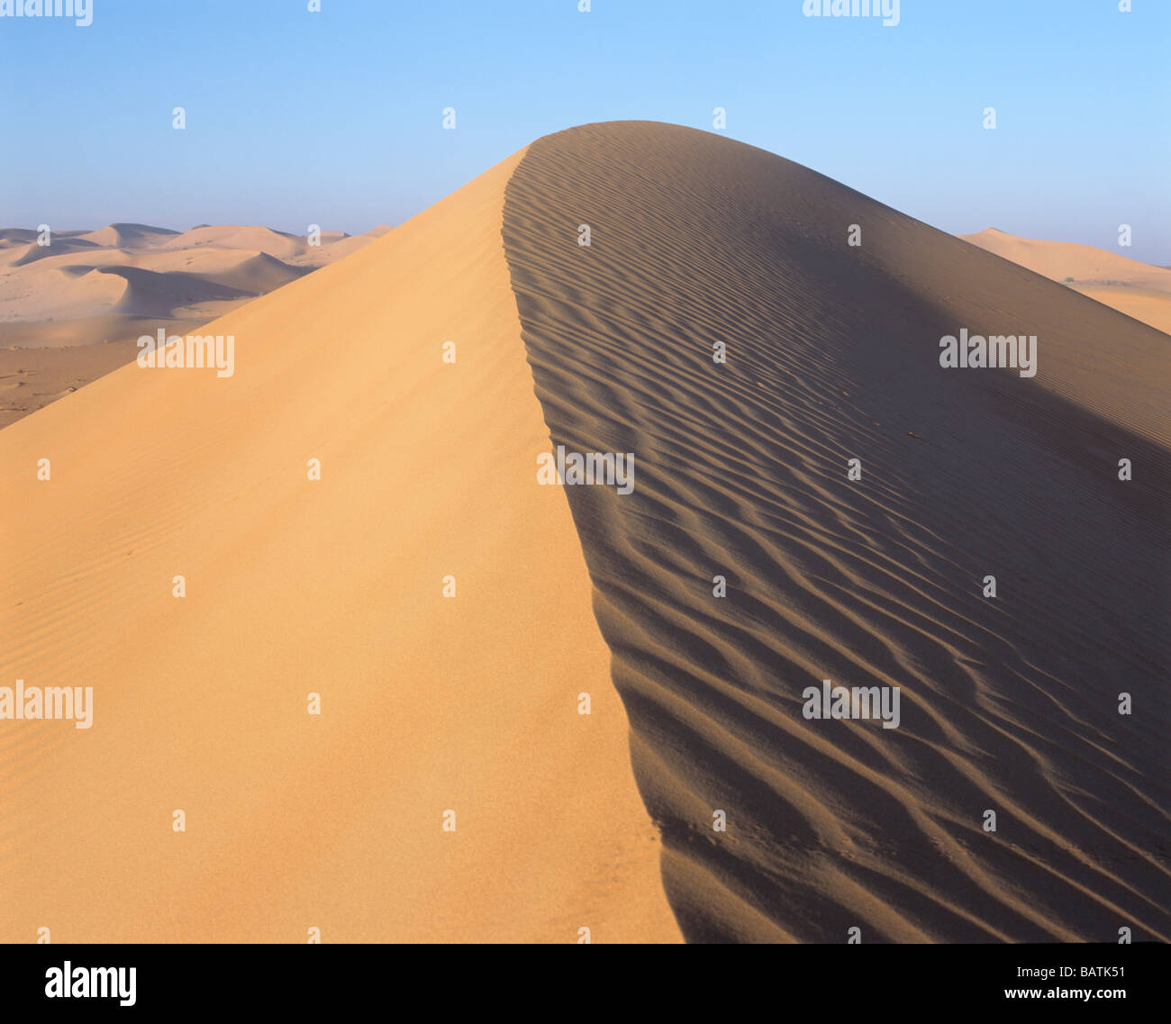 Sand dune crest. Photographed near Dubai in the United Arab Emirates ...