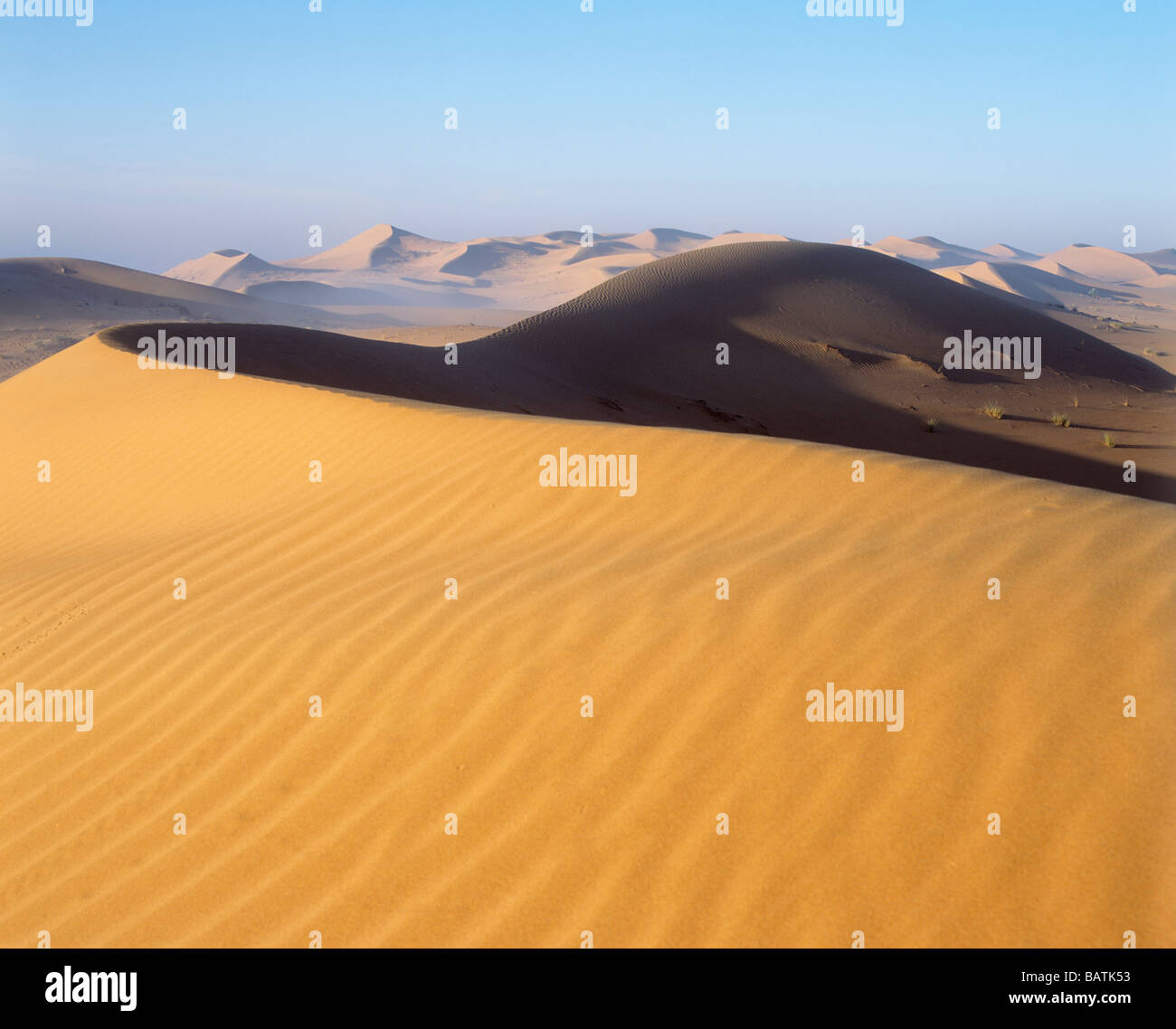 Sand dune crest. Photographed near Dubai in the United Arab Emirates ...
