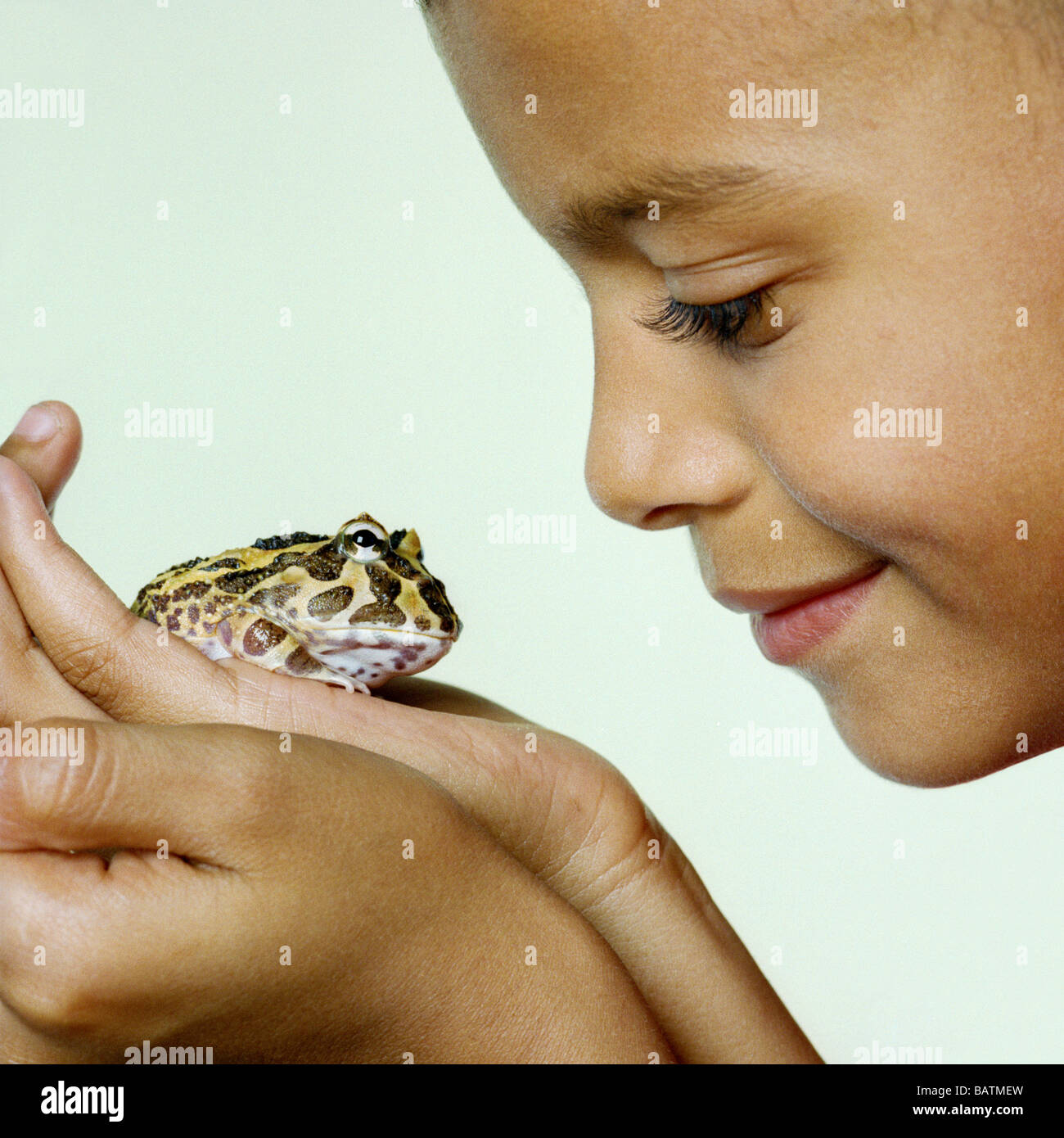 Boy holding frog hi-res stock photography and images - Alamy