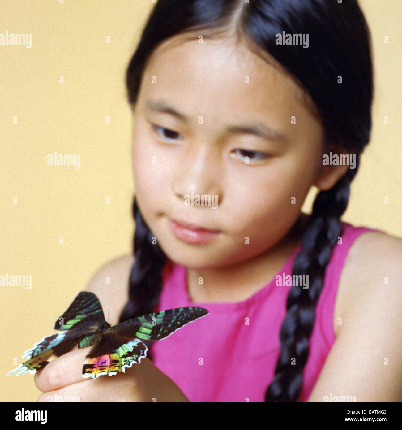 Boy and a butterfly hi-res stock photography and images - Alamy