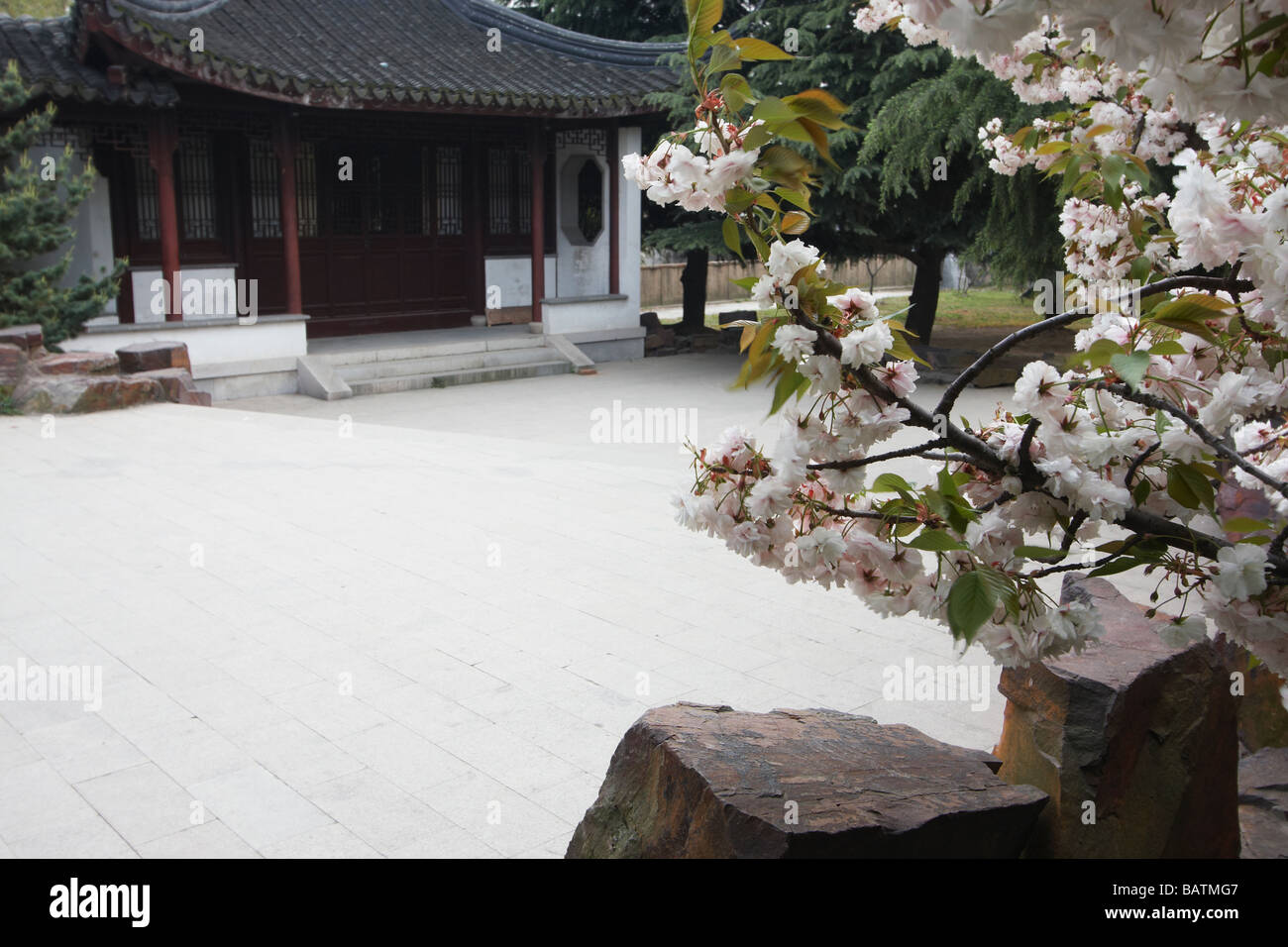 Pavilion And Spring Blossom In East Garden, Suzhou, China Stock Photo ...