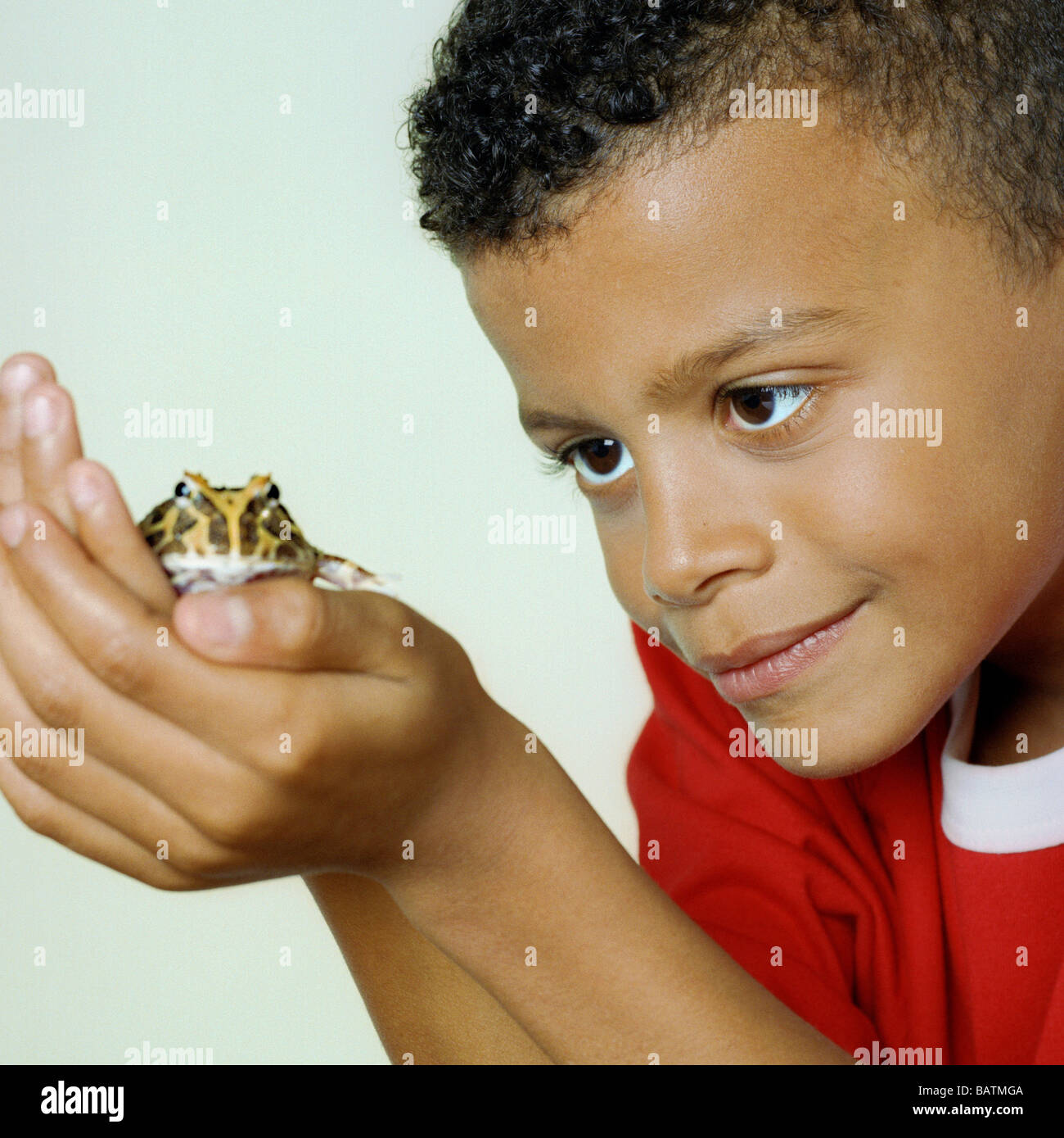 Boy holding his pet toad Stock Photo - Alamy
