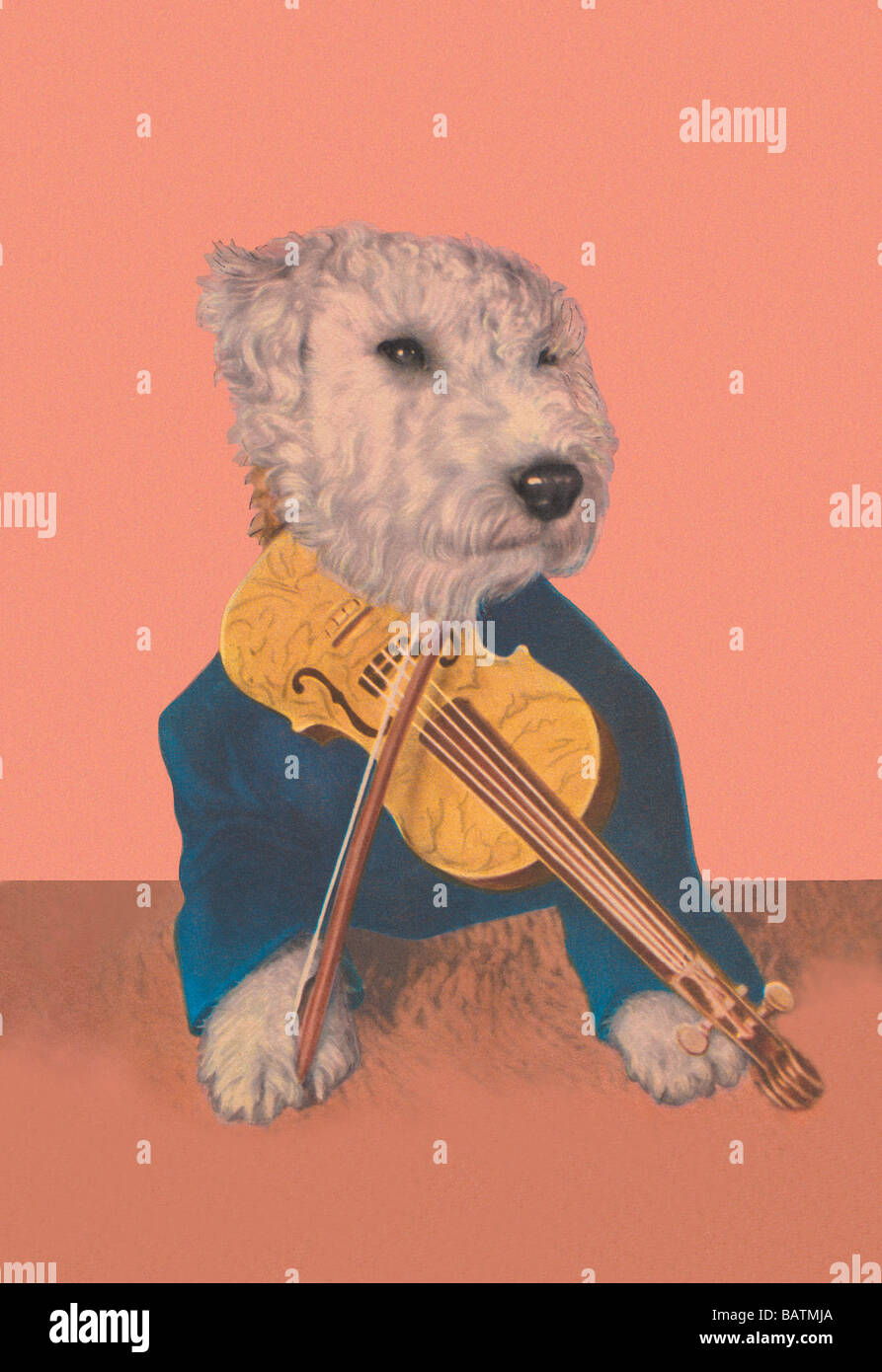 Dog with Violin Stock Photo - Alamy