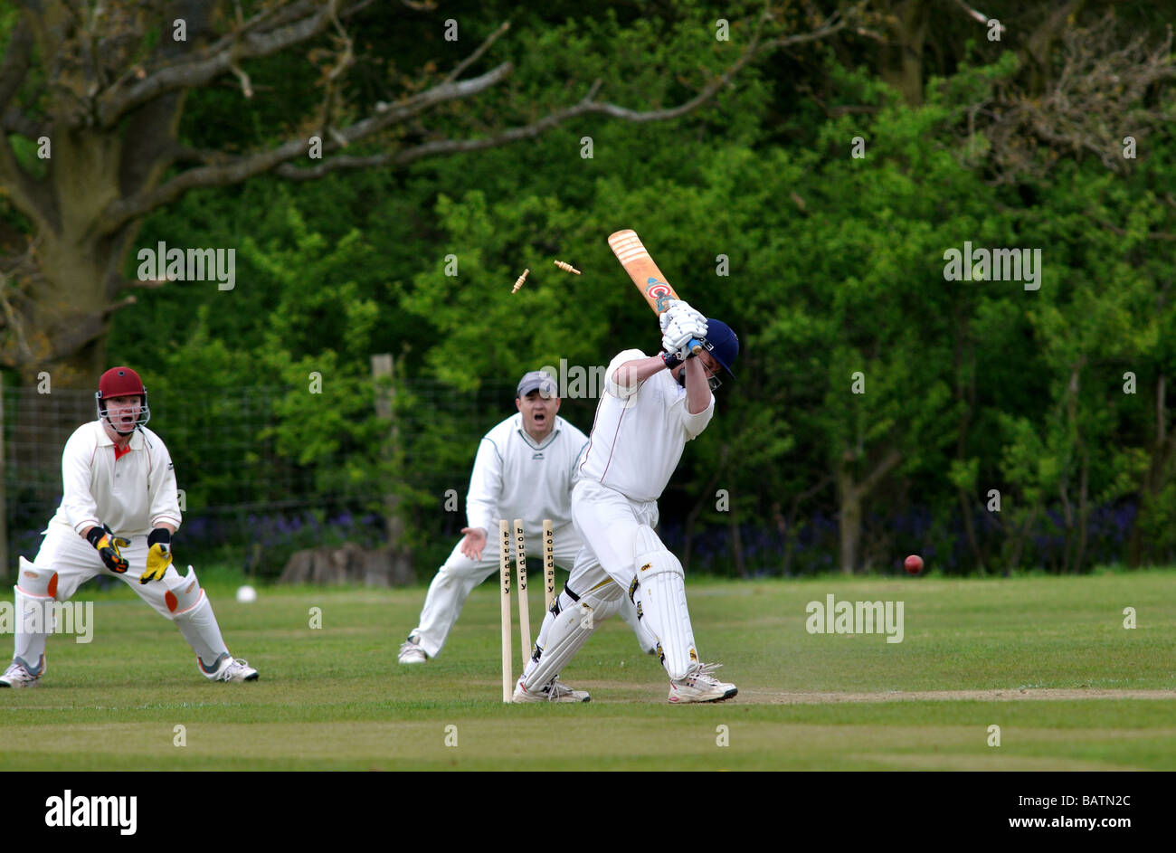 Village cricketer bowled out, bails flying, Cookhill, Worcestershire ...