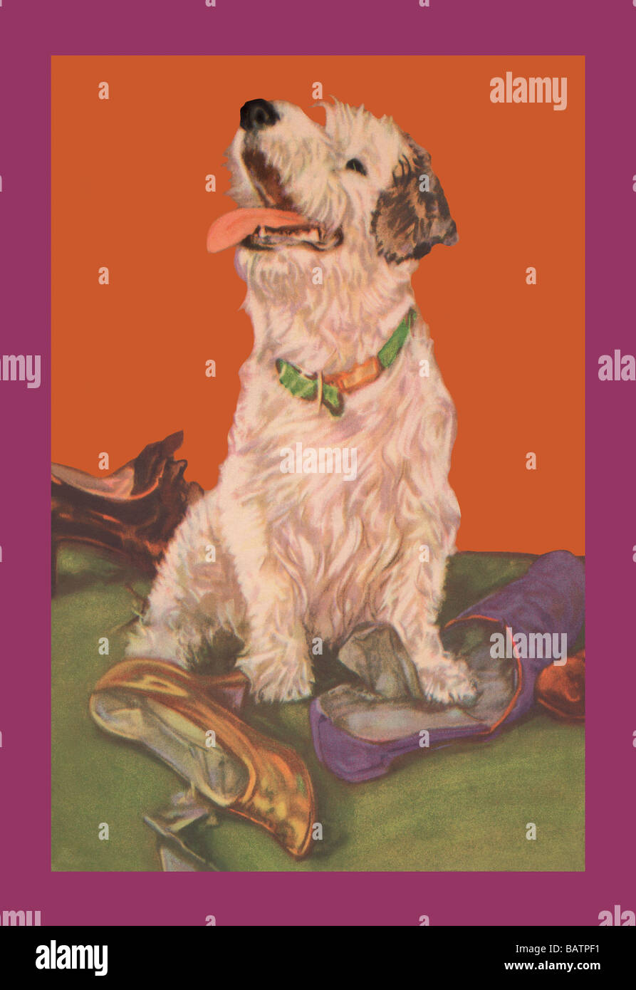 The Lost Slipper Stock Photo - Alamy