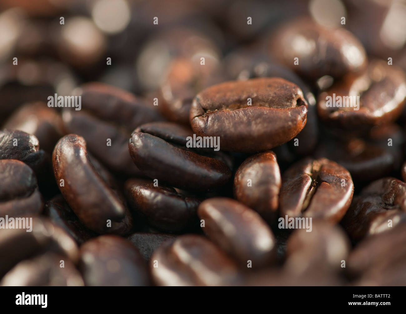 Roast coffee beans, studio shot Stock Photo - Alamy