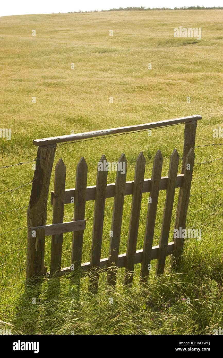 Italy, Tuscany, wooden gate in pasture Stock Photo - Alamy