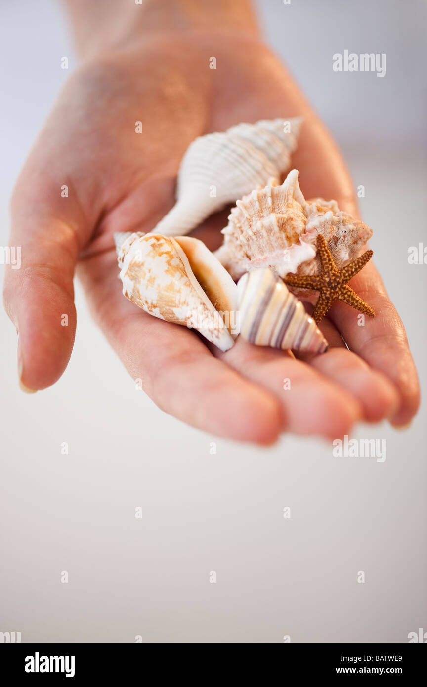 Close-up of seashells in woman's hand Stock Photo - Alamy