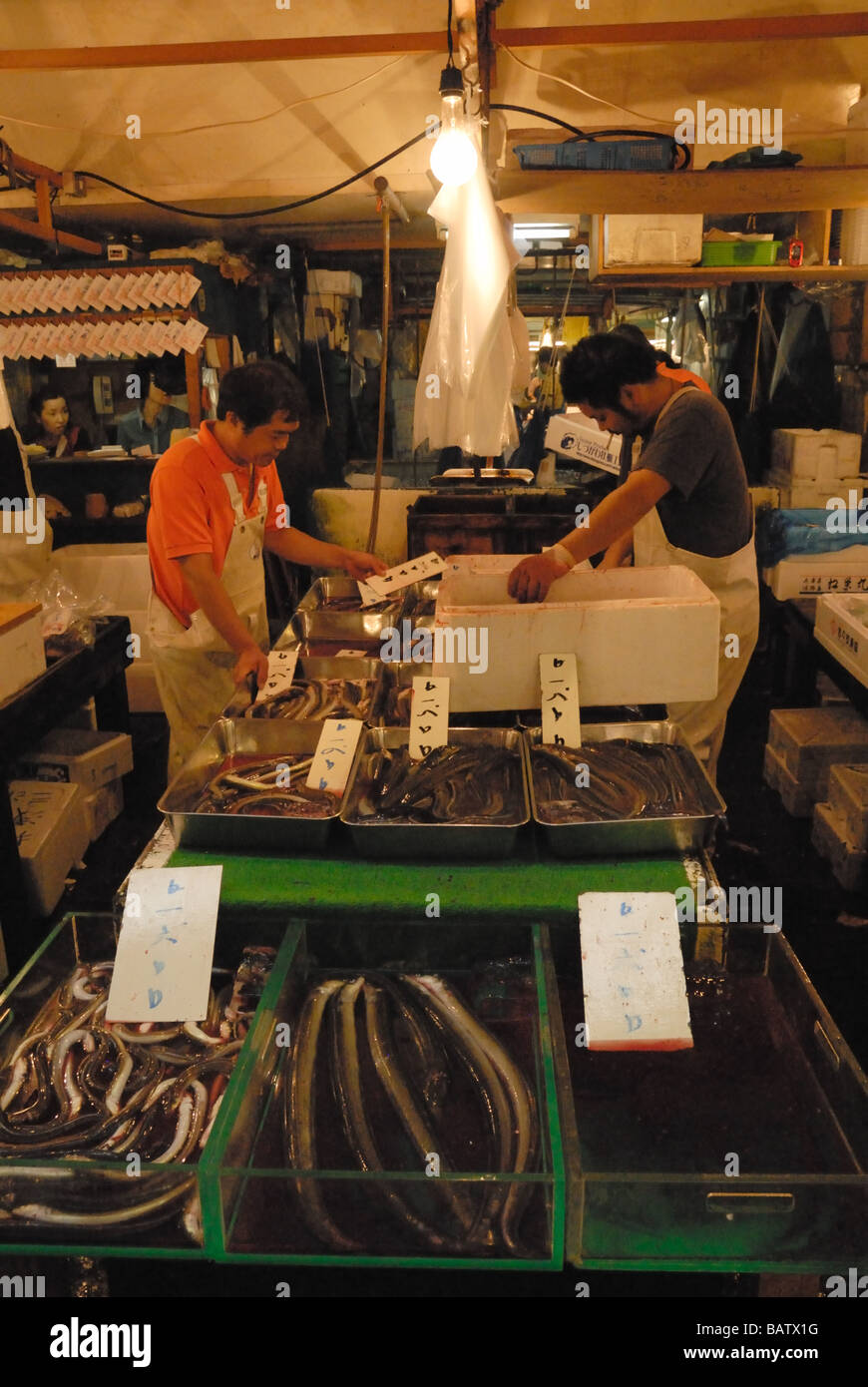 Workers in the Tsukiji fish market Tokyo Japan with eels Stock Photo ...