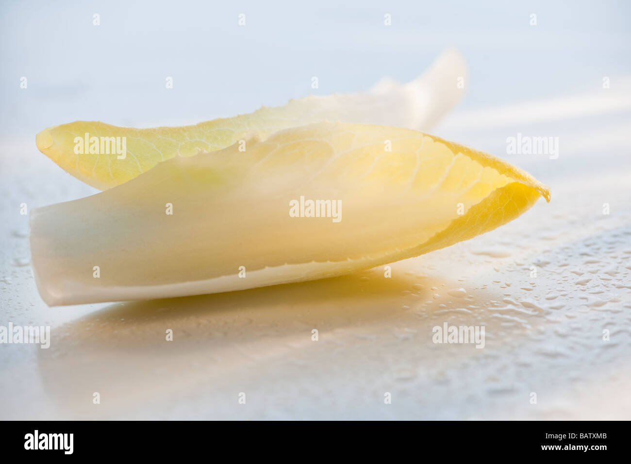 Two leaves of endive on wet surface Stock Photo - Alamy