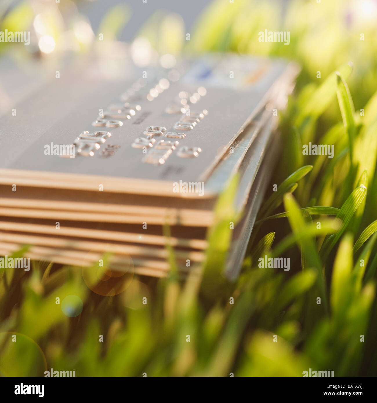 Conservation banking hi-res stock photography and images - Alamy