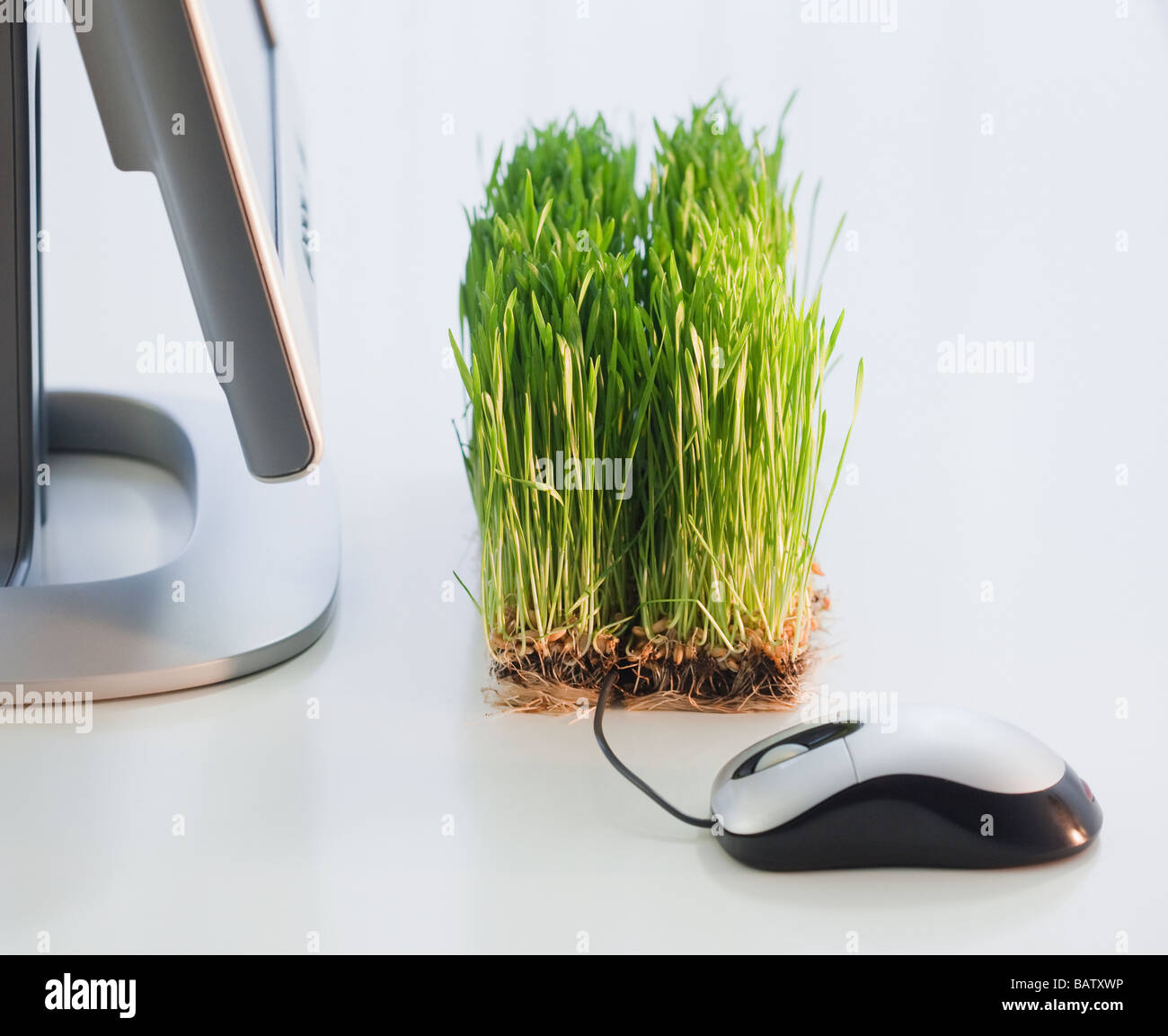 Computer conservation hi-res stock photography and images - Alamy