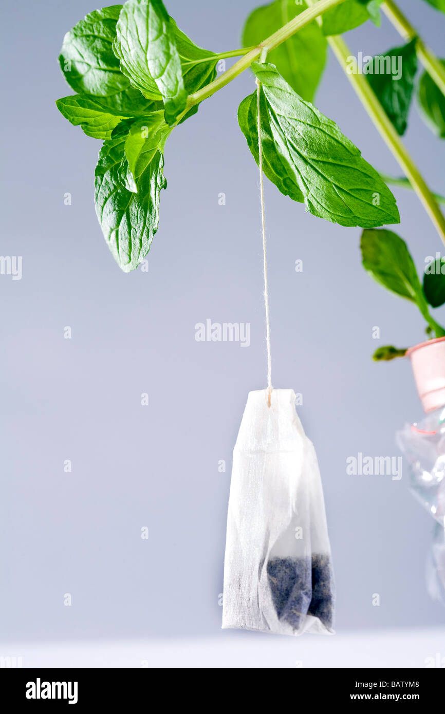 Hanging tea bag hi-res stock photography and images - Alamy