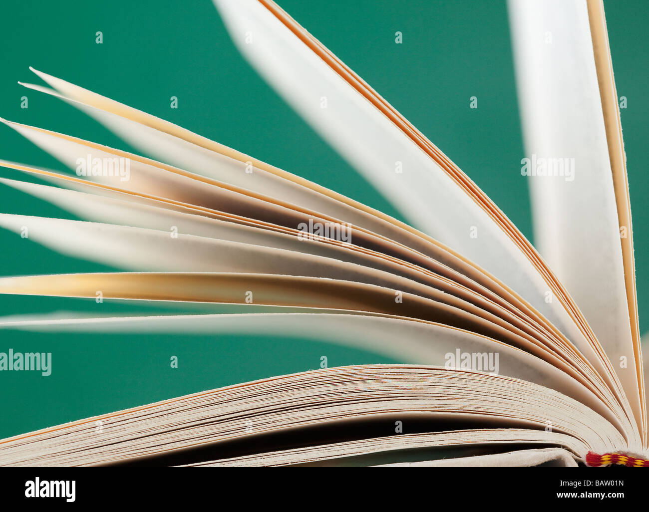 Close-up of open book, studio shot Stock Photo - Alamy