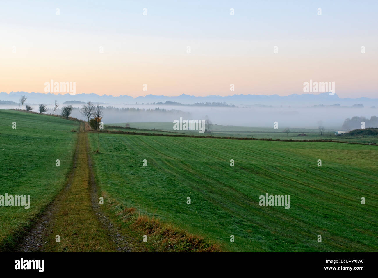Germany, Bavaria, Field path and fog, The Alps in background Stock ...