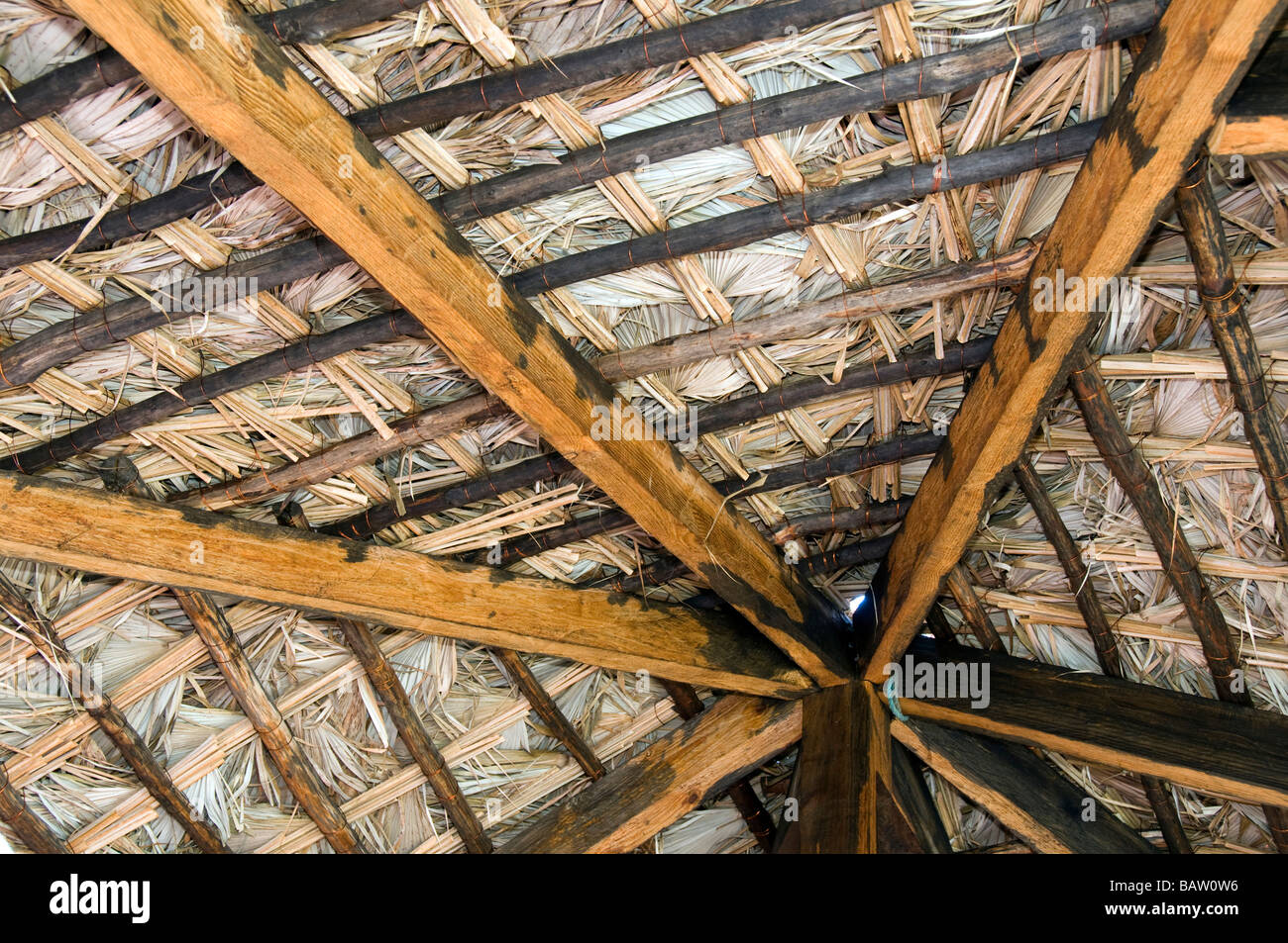 view of thatched roof construction rafters in ceiling of building in ...