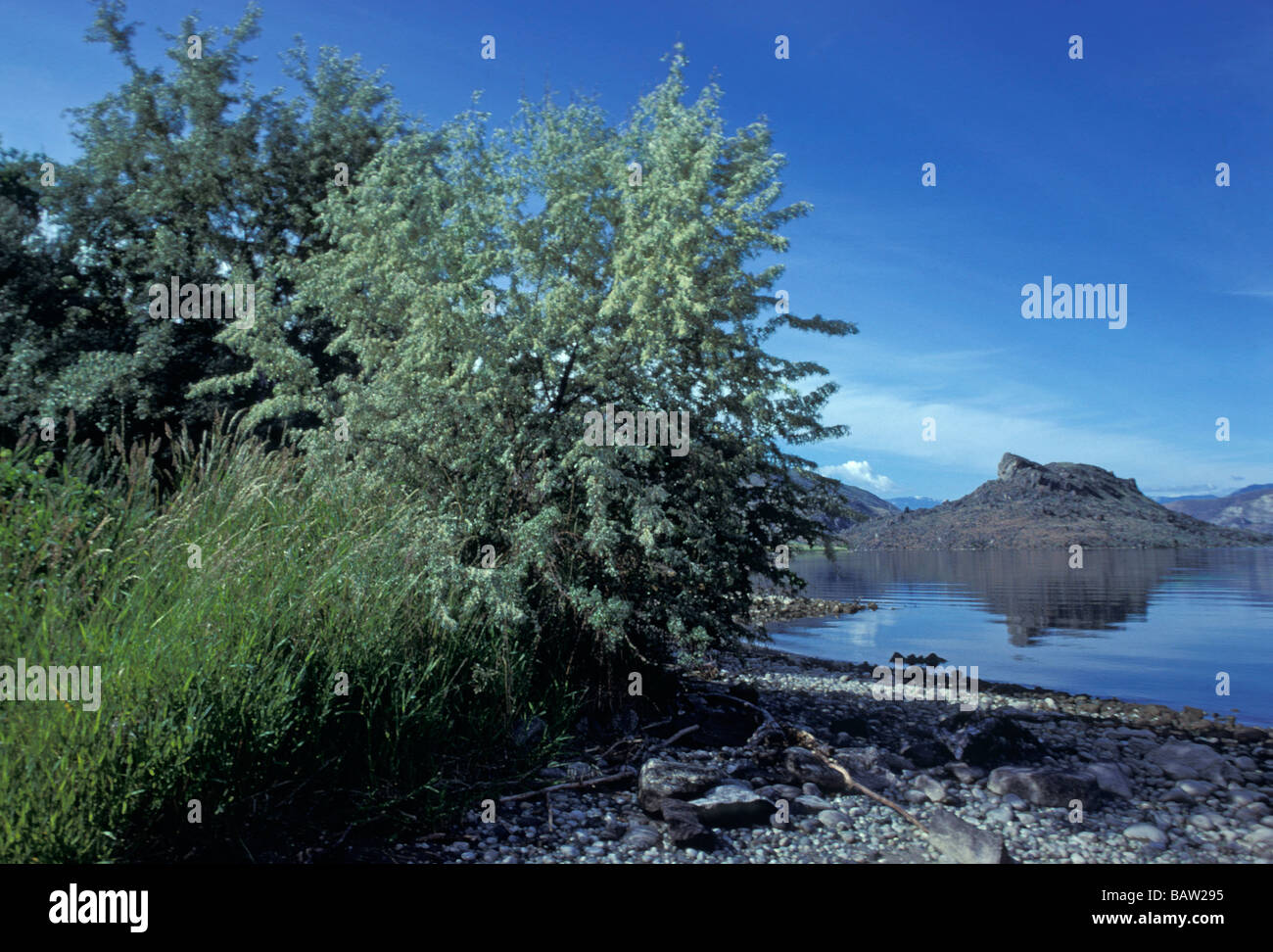 Lake Entiat on Columbia River in Washington Stock Photo - Alamy
