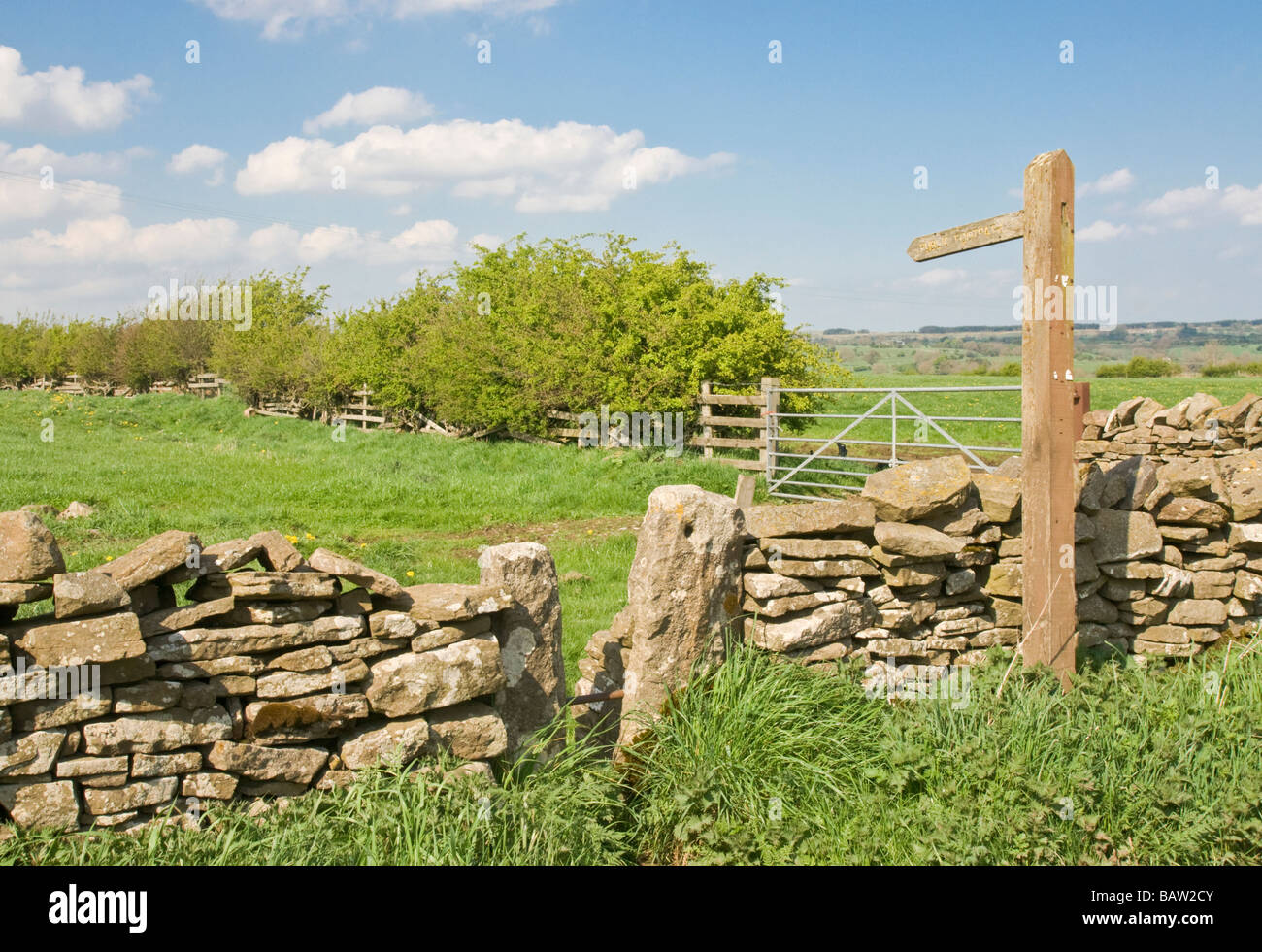Footpath sign and squeeze stile in a dry stone wall. Wensleydale, North ...