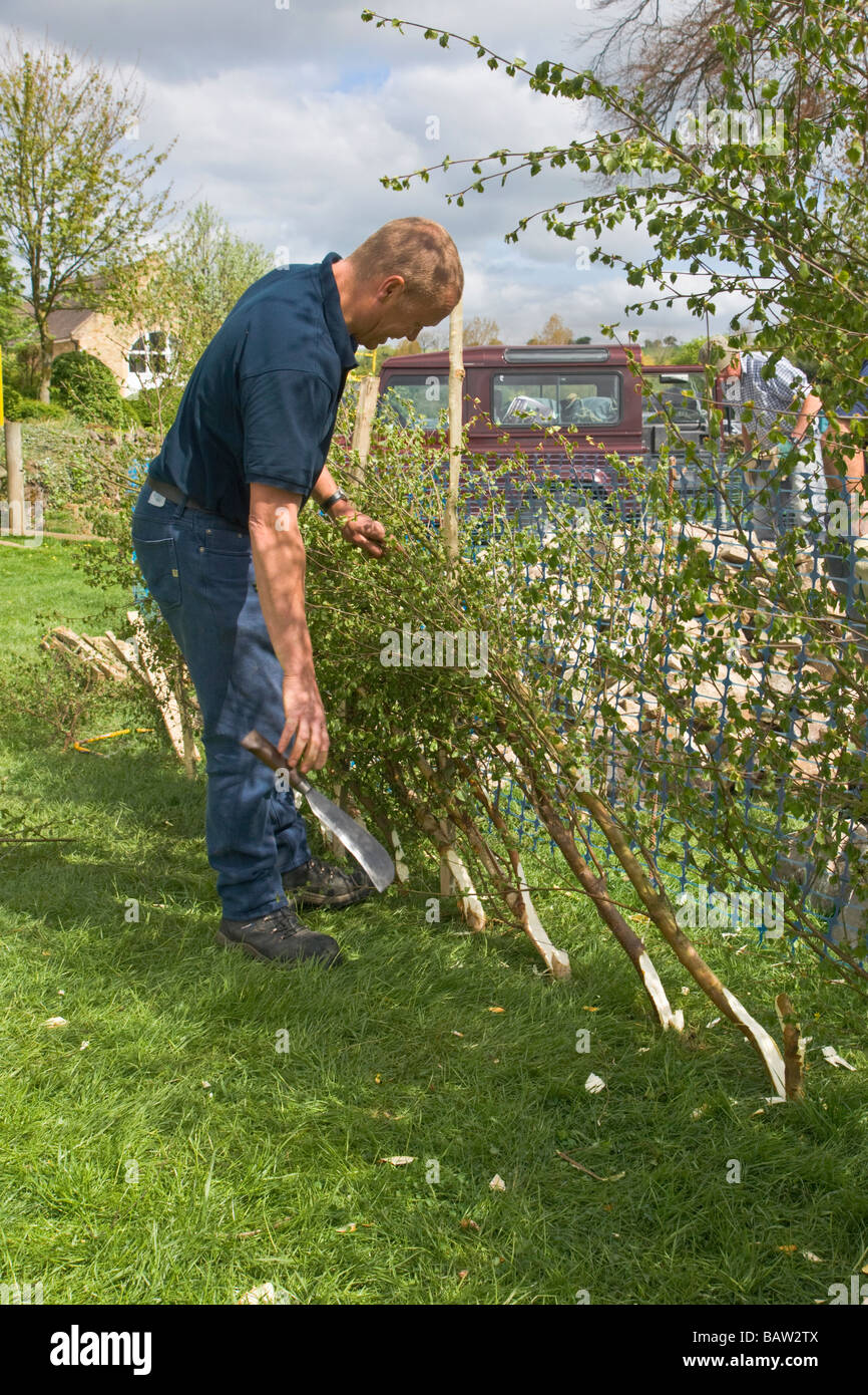 Hedge trimming making craft hi-res stock photography and images - Alamy