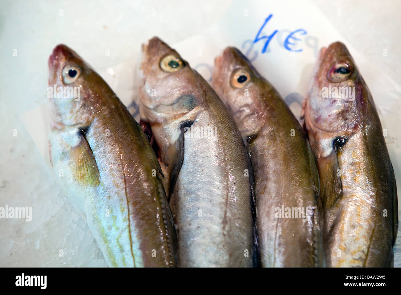Paris fish market seafood market hi-res stock photography and images ...