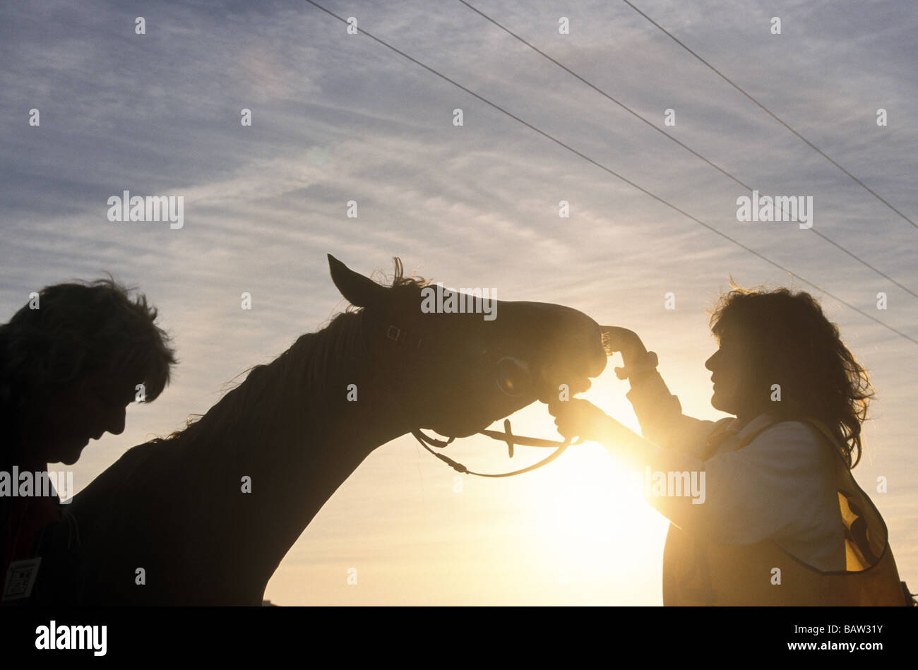 Equestrian Endurance Riding Stock Photo - Alamy