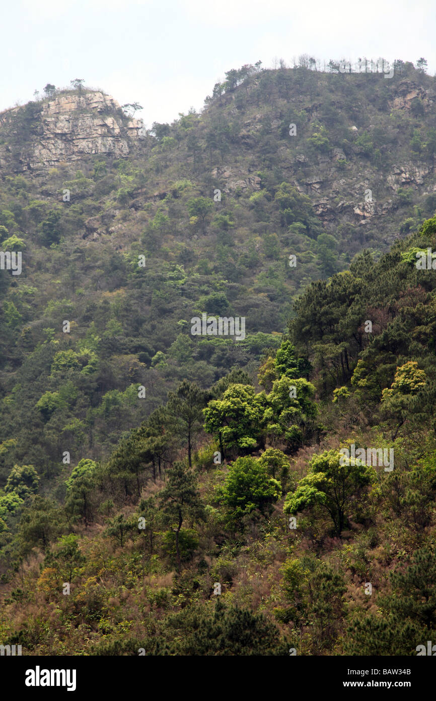 view on chinese mountains covered with trees and green jungle forest ...