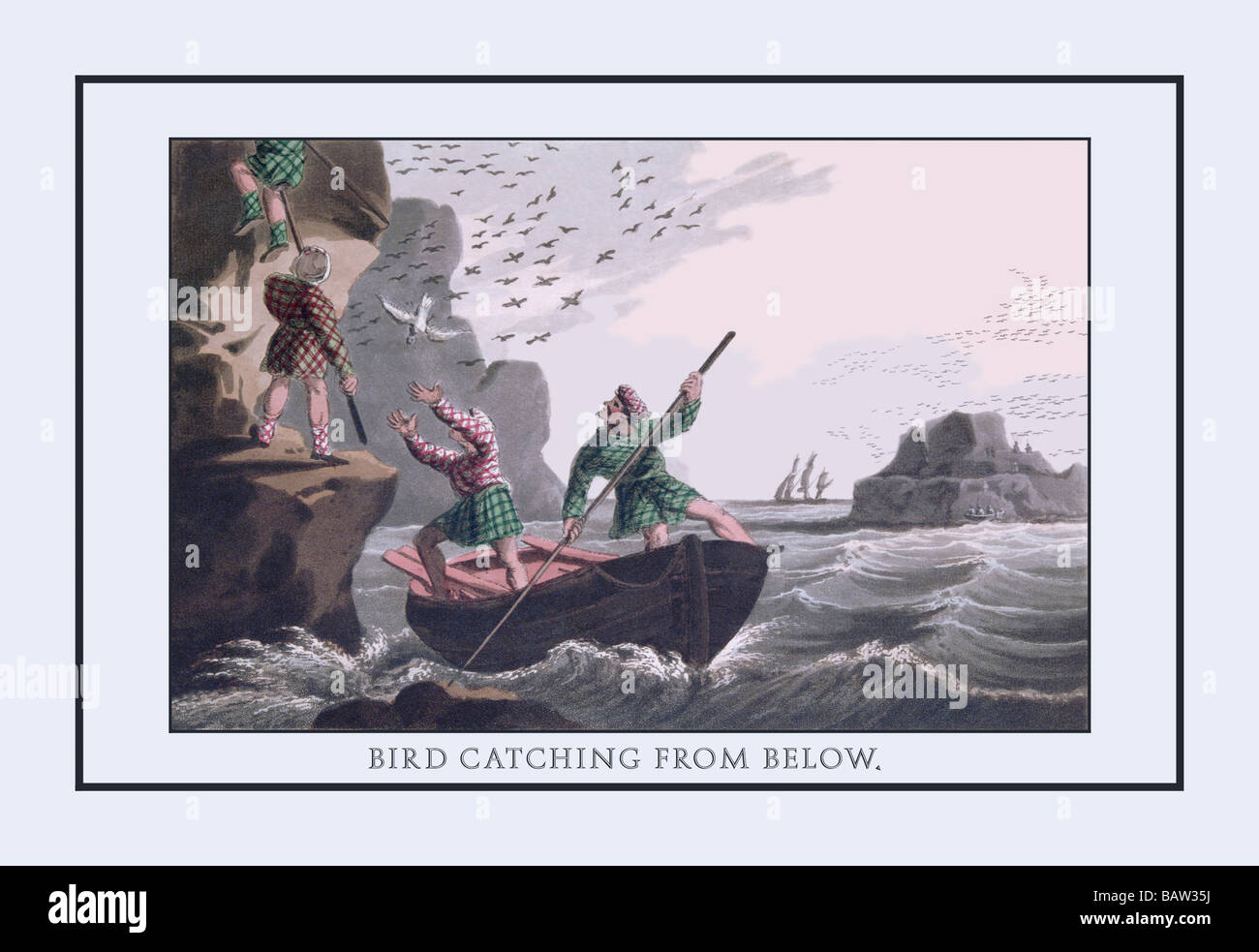 Bird Catching From Below Stock Photo - Alamy