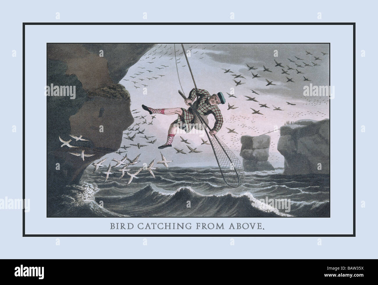 Bird Catching From Above Stock Photo - Alamy